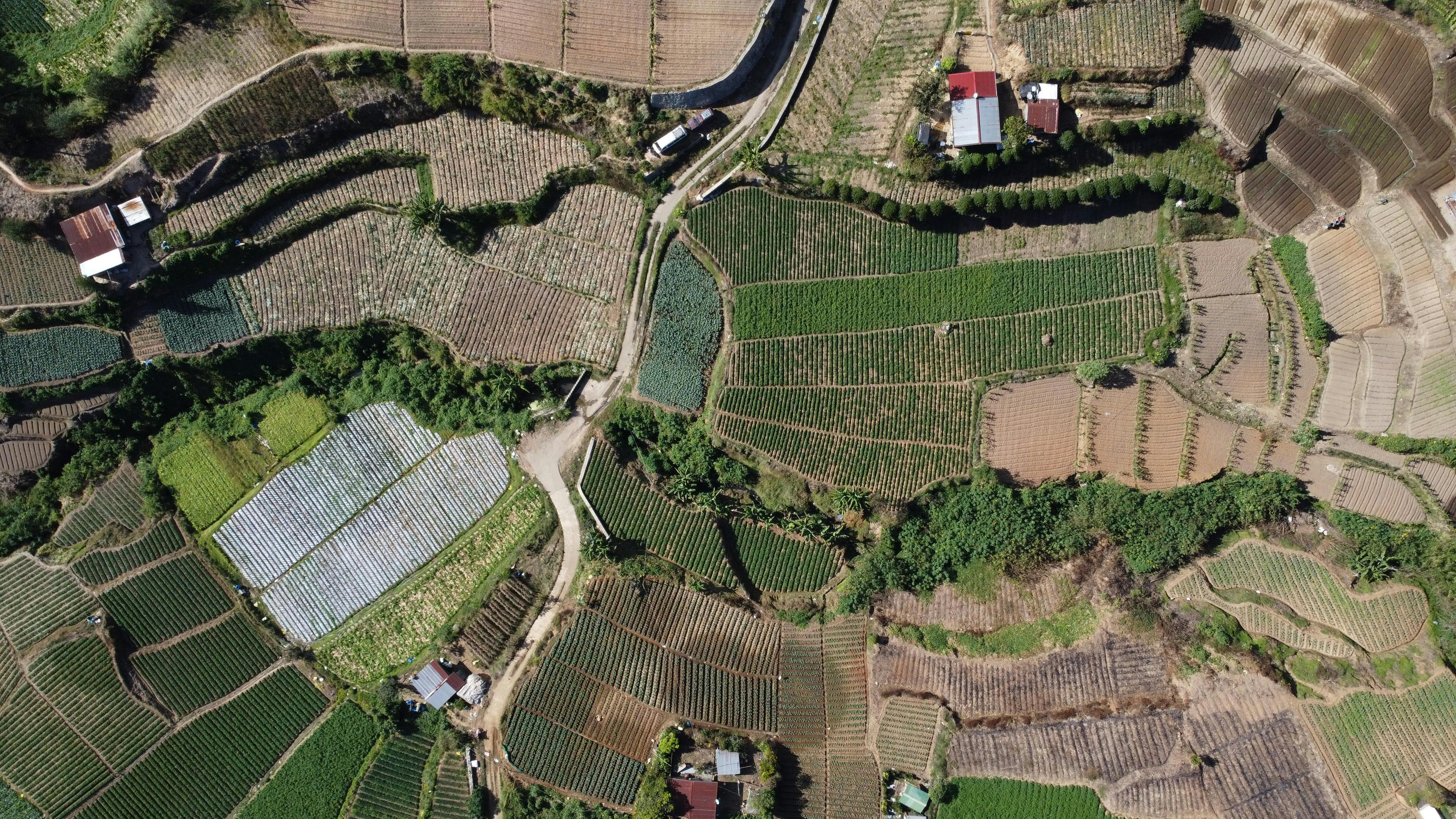 Indian Village Fields Photos, Download The BEST Free Indian Village ...