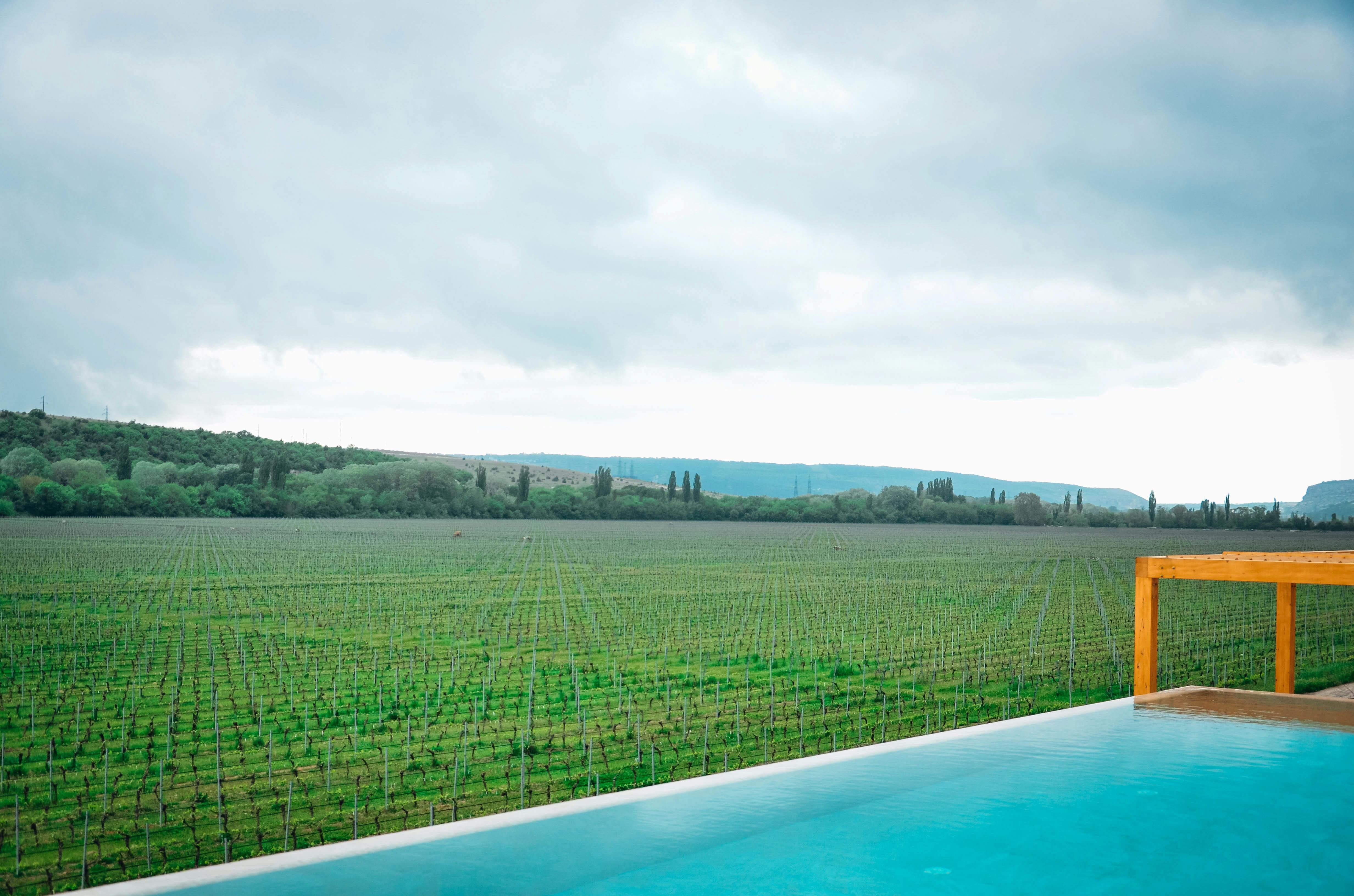 Swimming Pool and Rural Field behind · Free Stock Photo