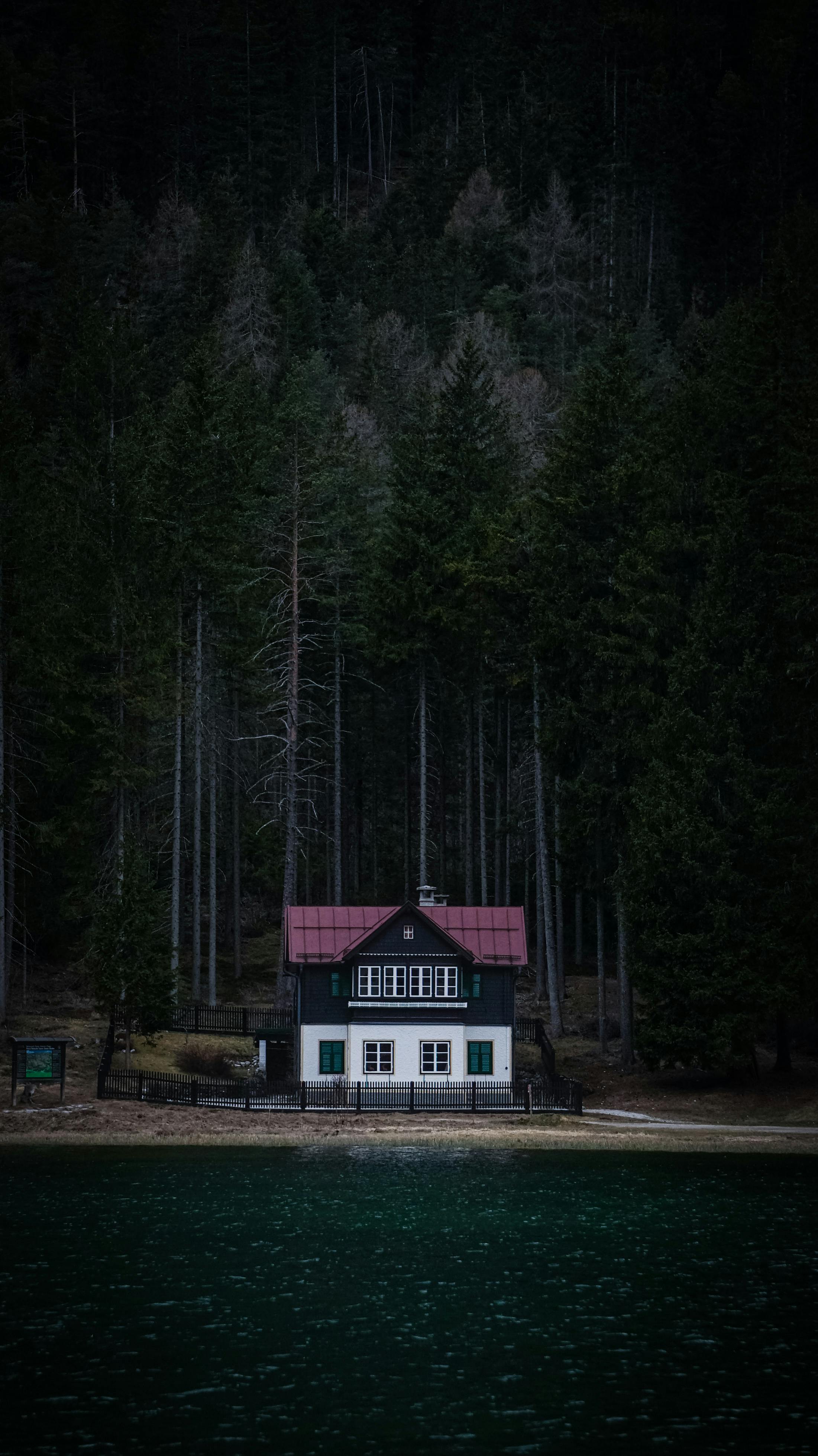 Tall Digital Photos, Download The BEST Free Tall Digital Stock Photos ...