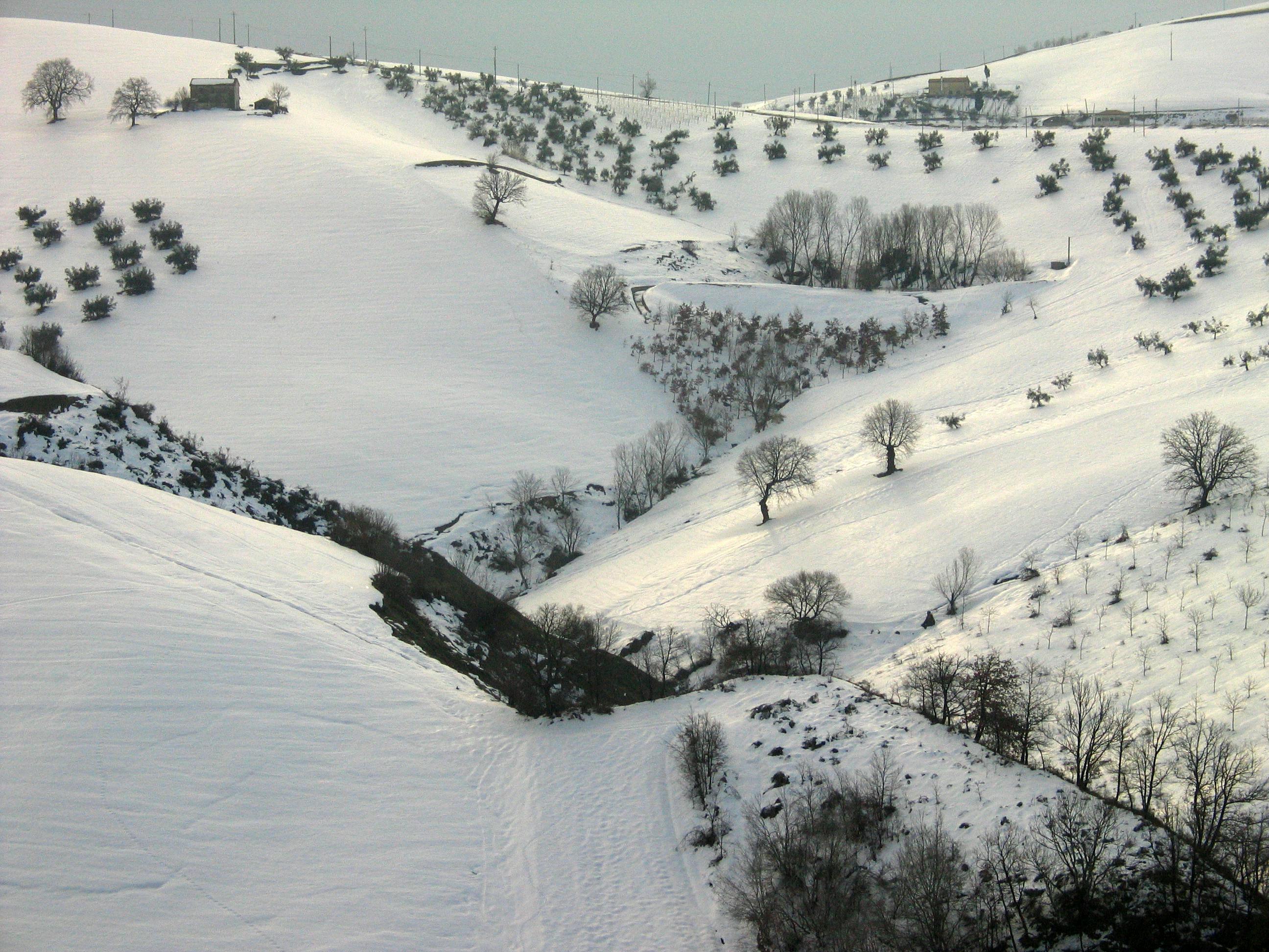 A snowy hillside with trees and snow covered hills · Free Stock Photo