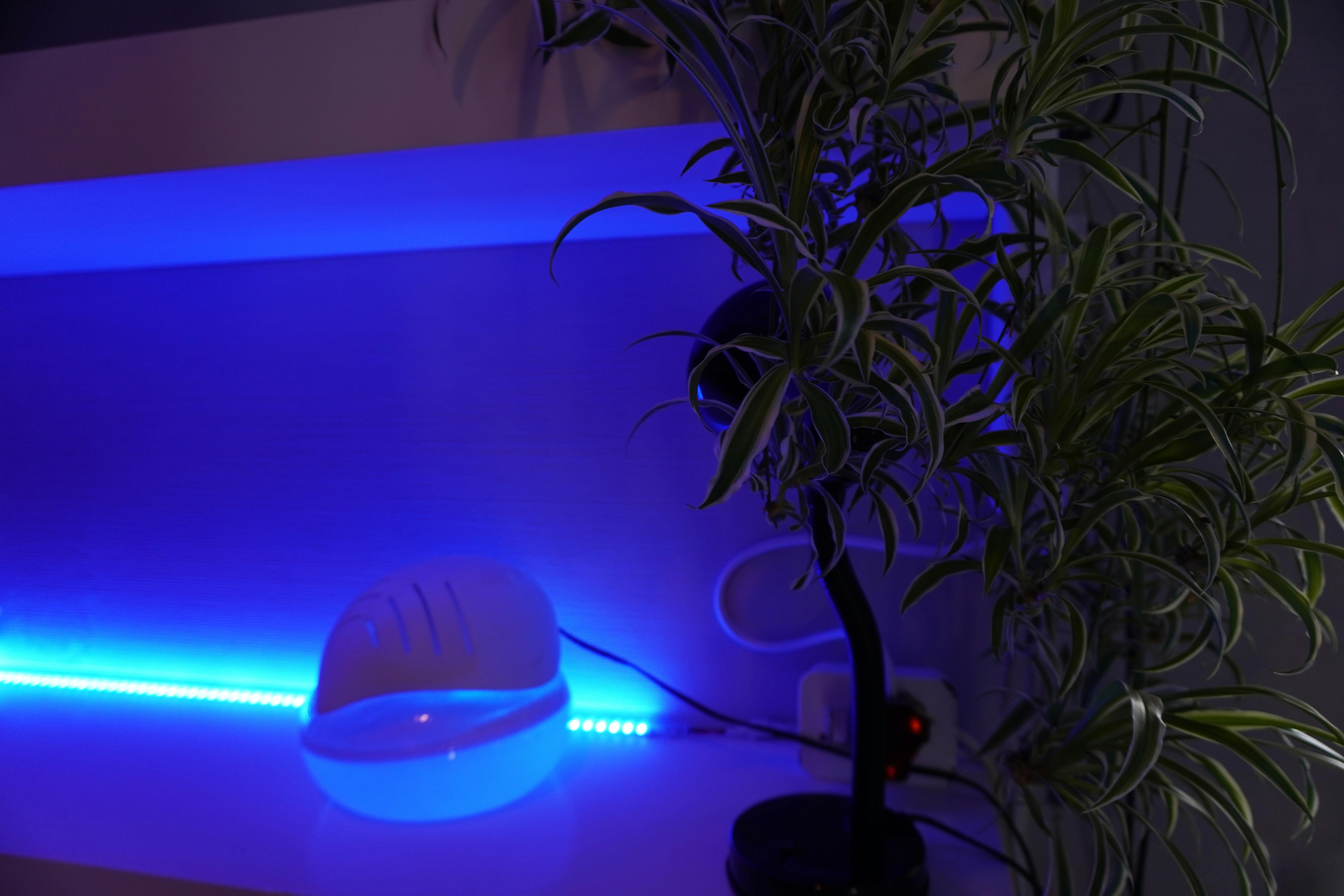 Simoné Visser - Photography