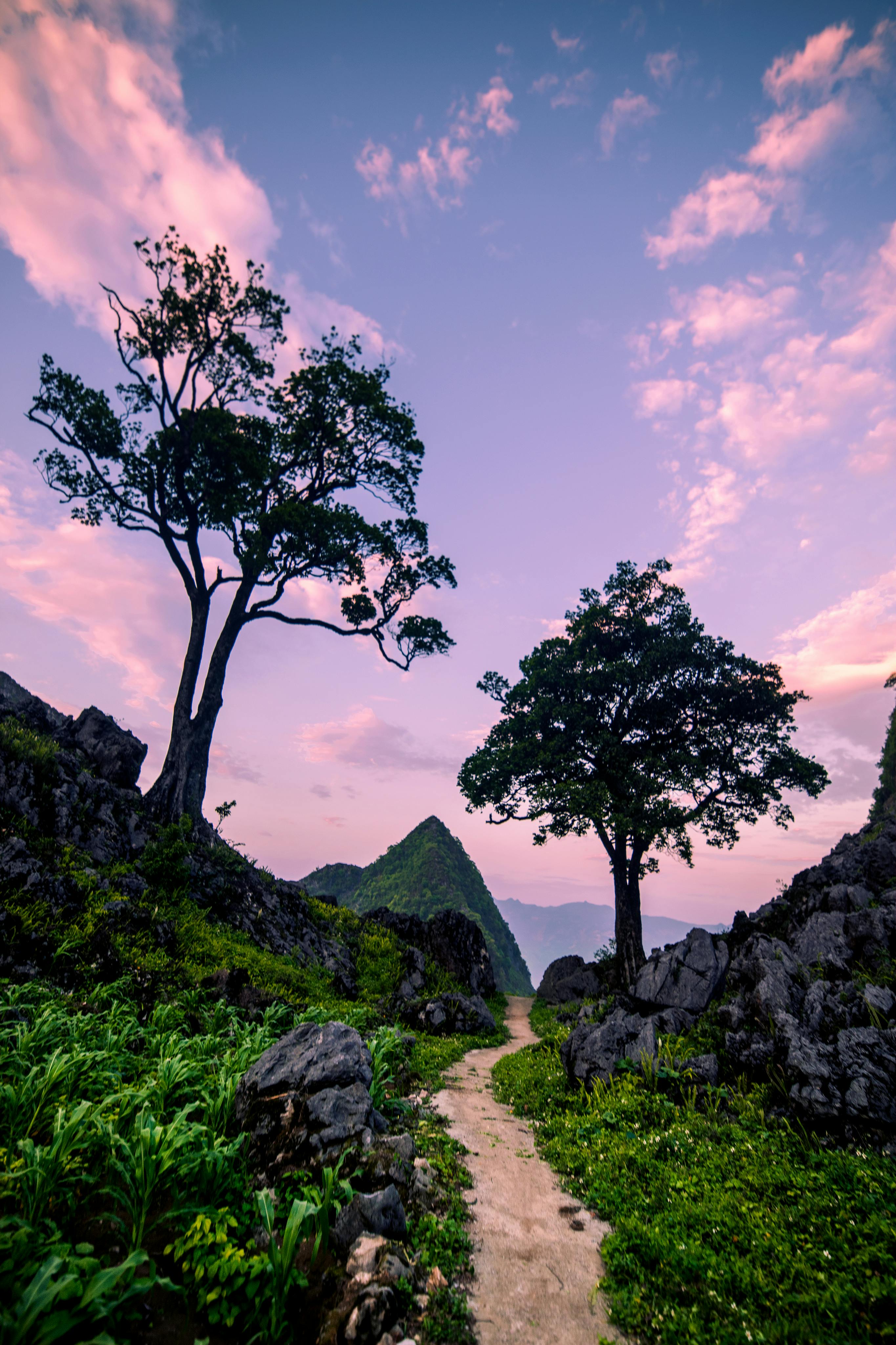 Duc Nguyen - การถ่ายภาพ