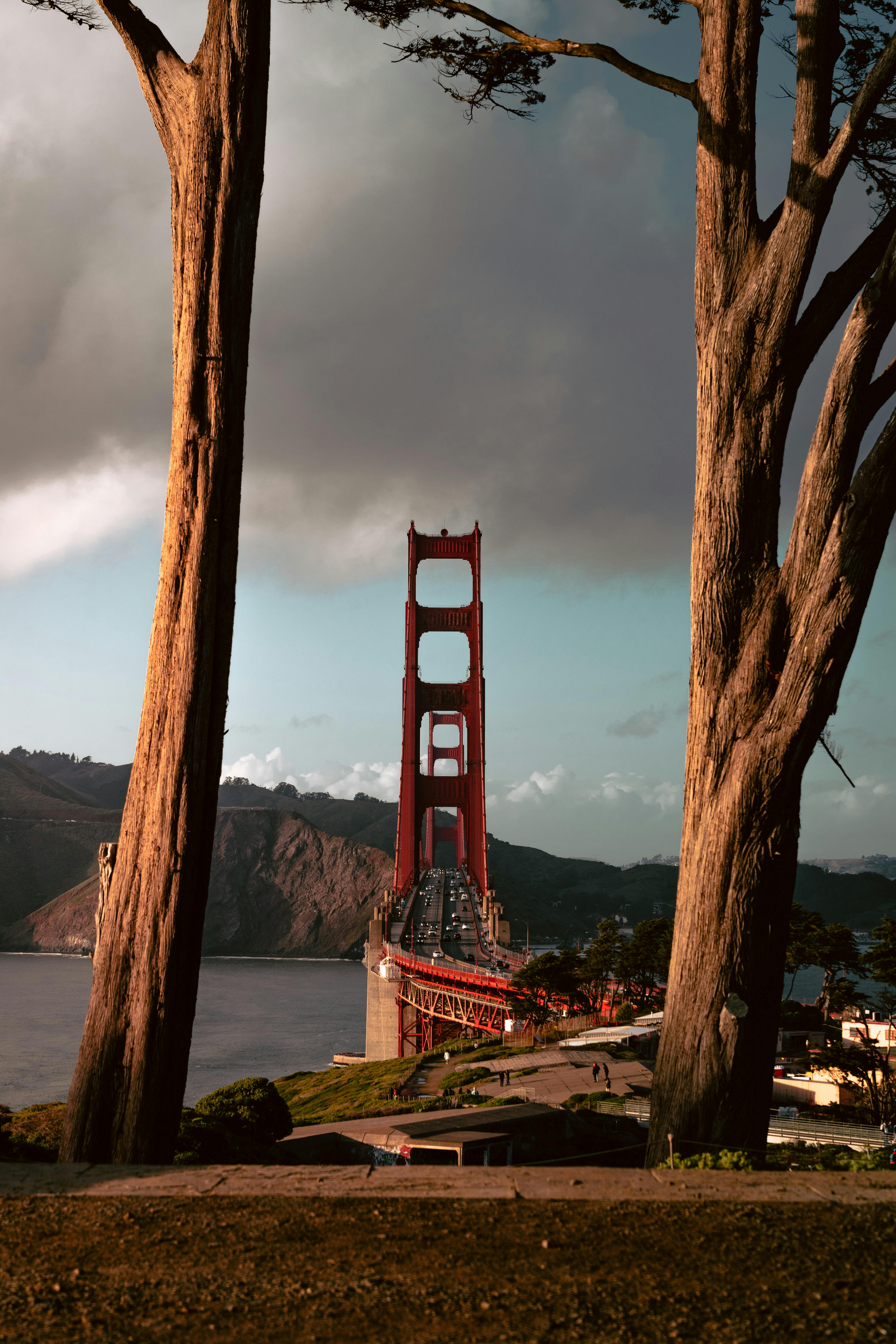 Red Bridge Between Trees · Free Stock Photo