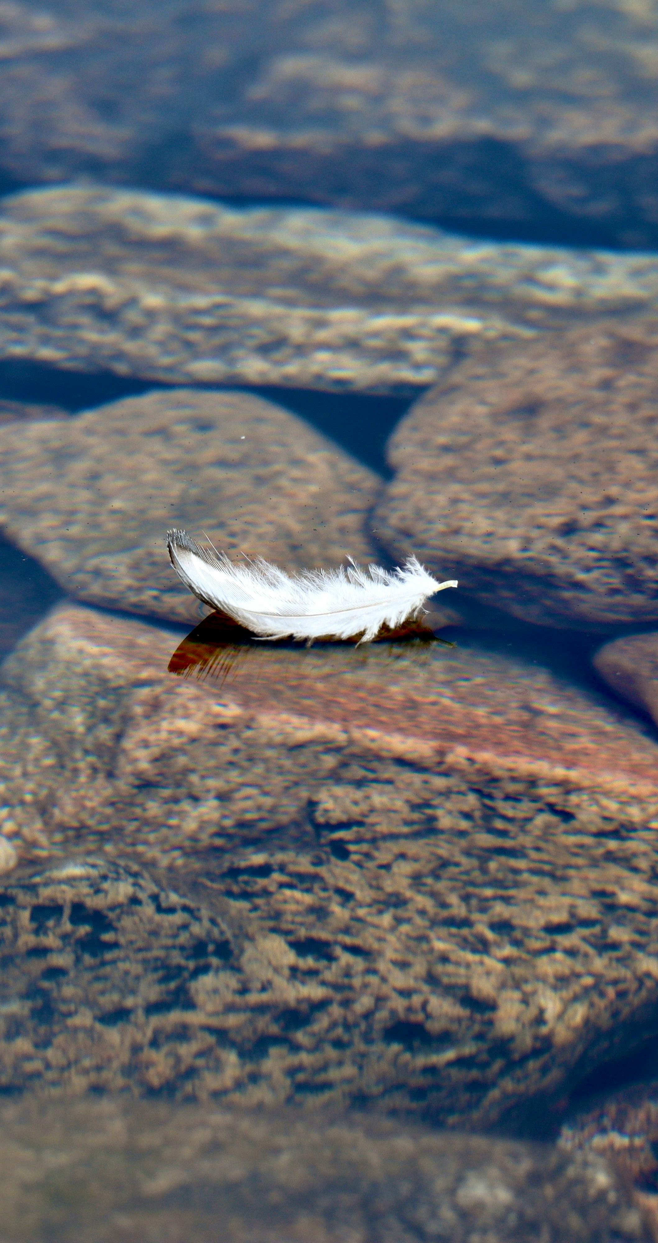 Tar Puddle Photos, Download The BEST Free Tar Puddle Stock Photos & HD ...