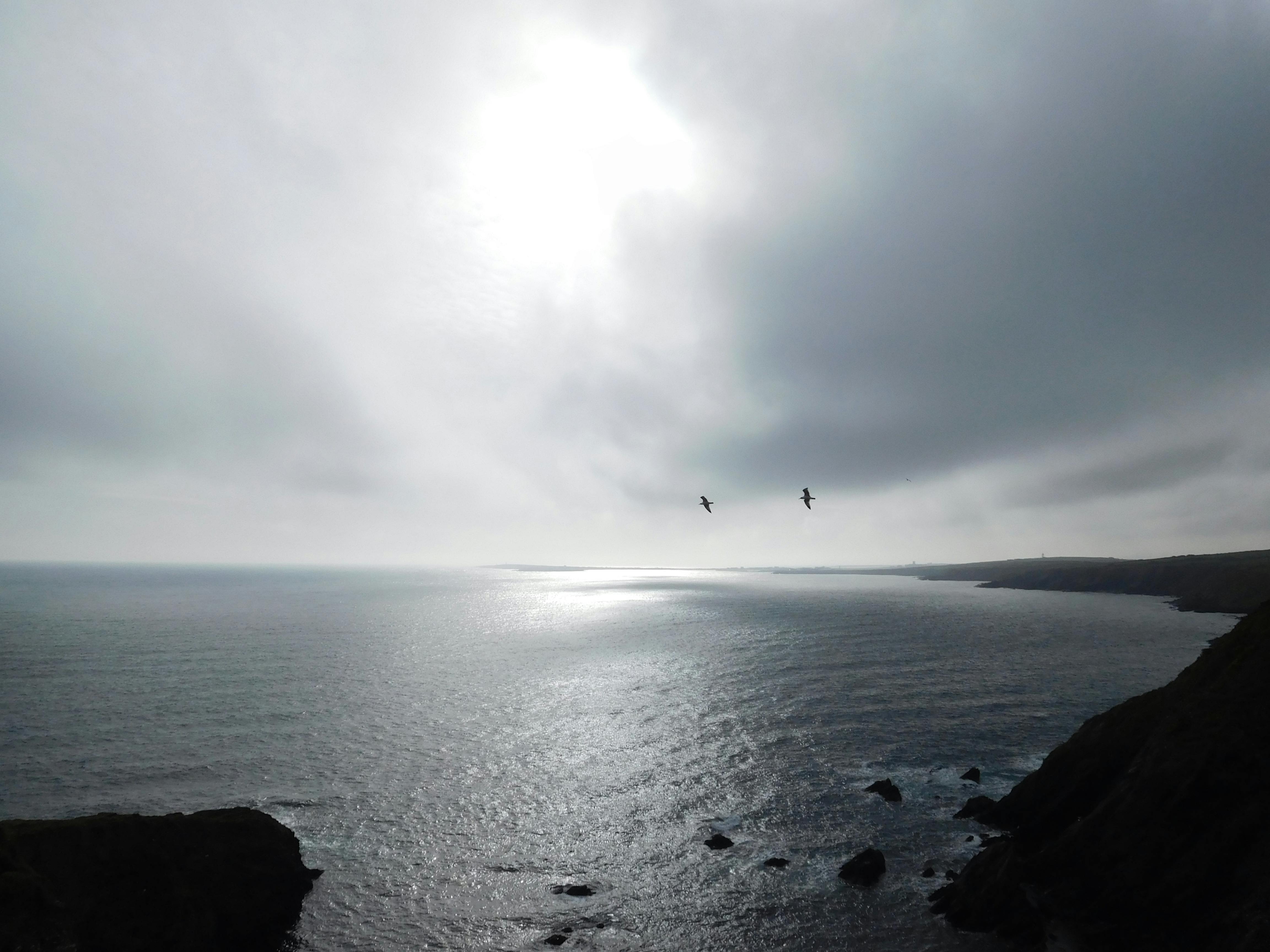 Inside Storm Clouds Photos, Download The BEST Free Inside Storm Clouds ...