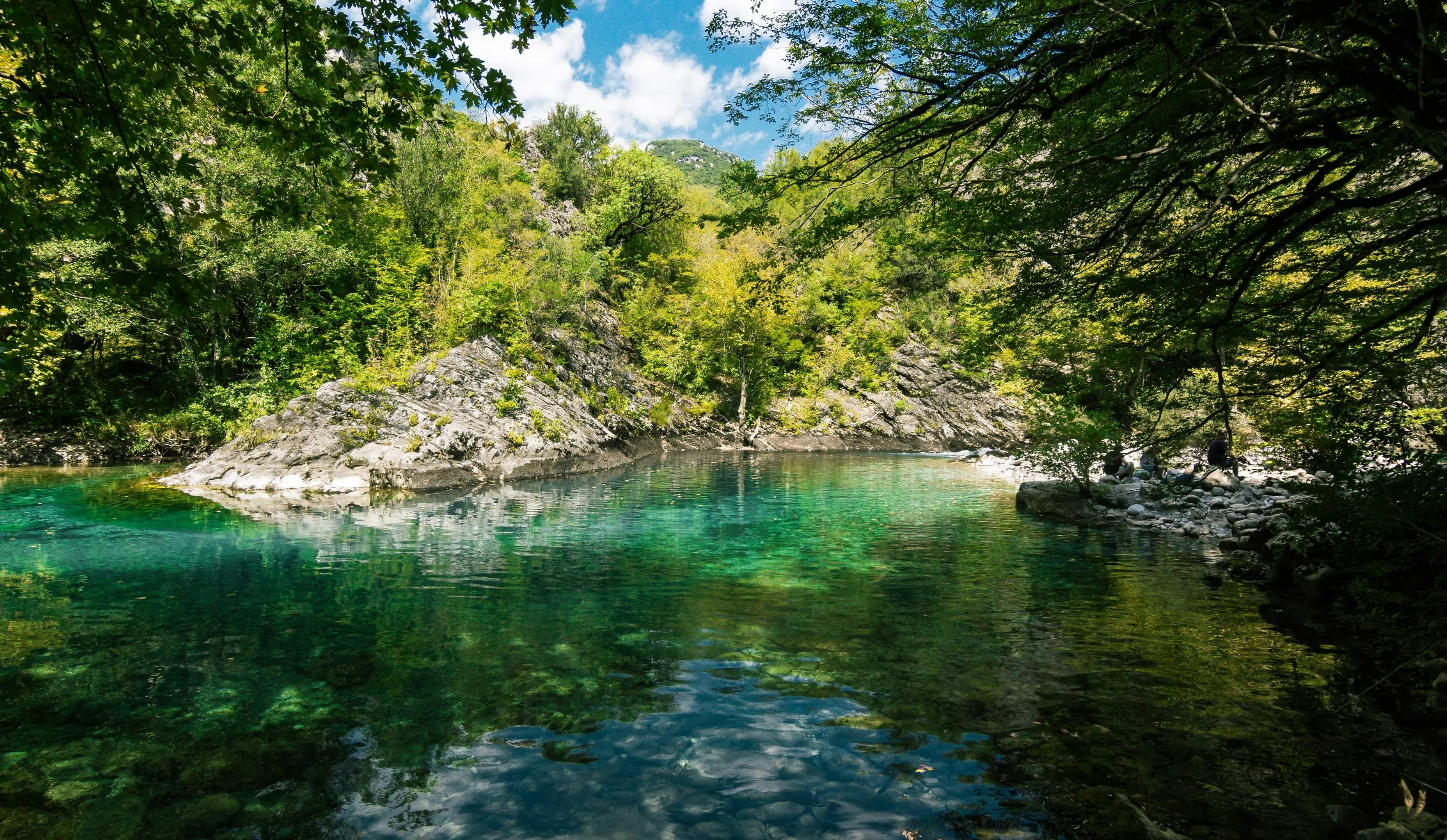Water Reflecting Green Leafed Treees · Free Stock Photo