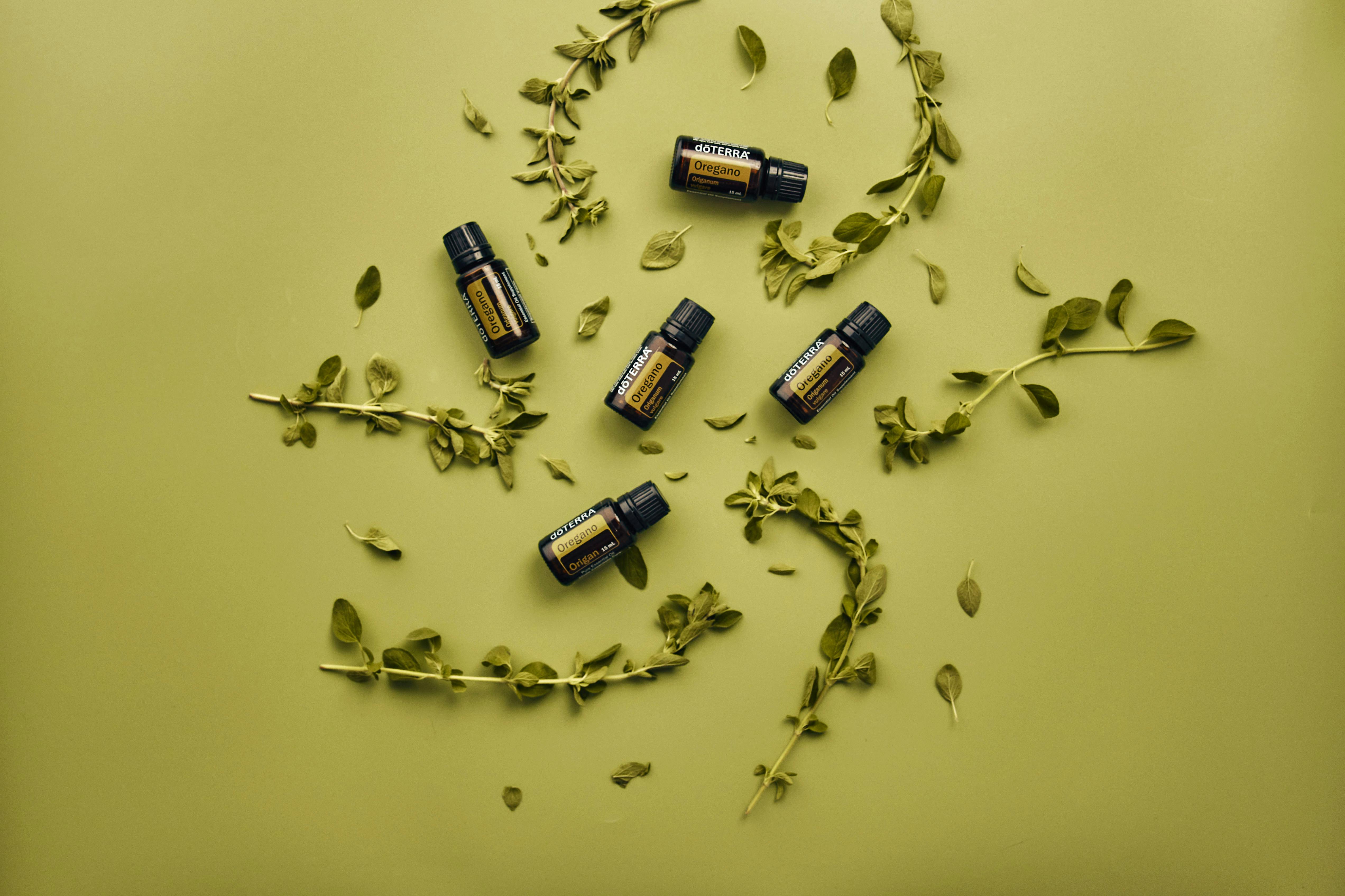 Photo gratuite de à base de plantes, aromathérapie, aromatique, arrière ...