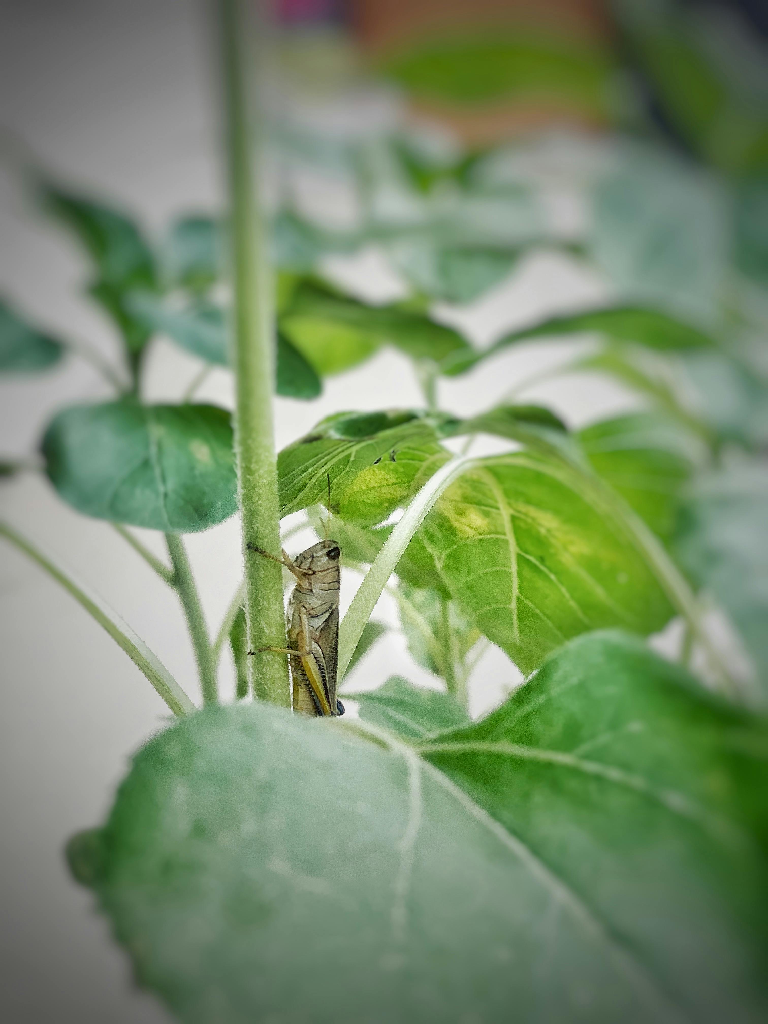 Nisarg Dave - Fotografie