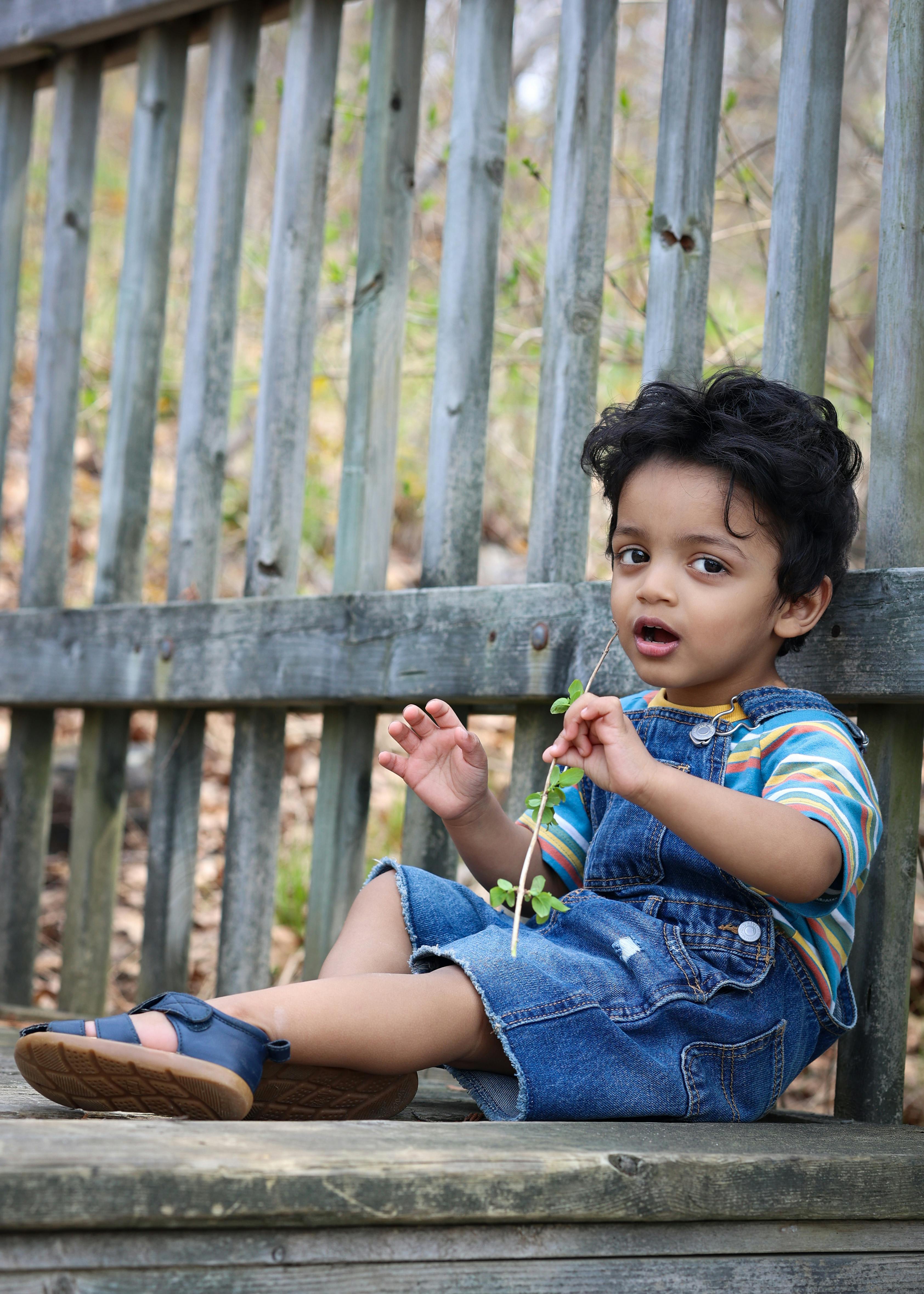 Boy Sitting near Wooden Fence · Free Stock Photo