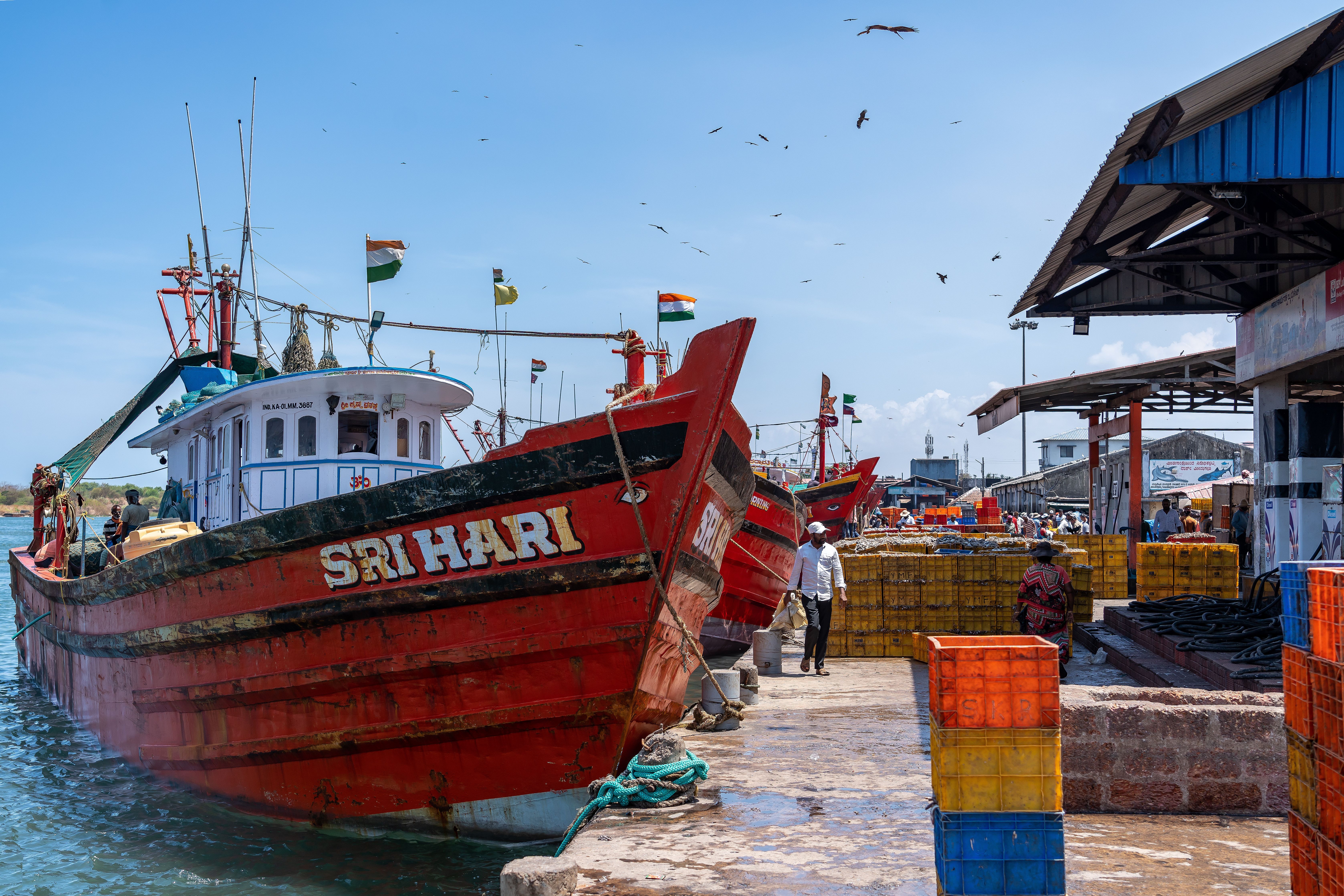 Moored Vessel with Indian Flags · Free Stock Photo
