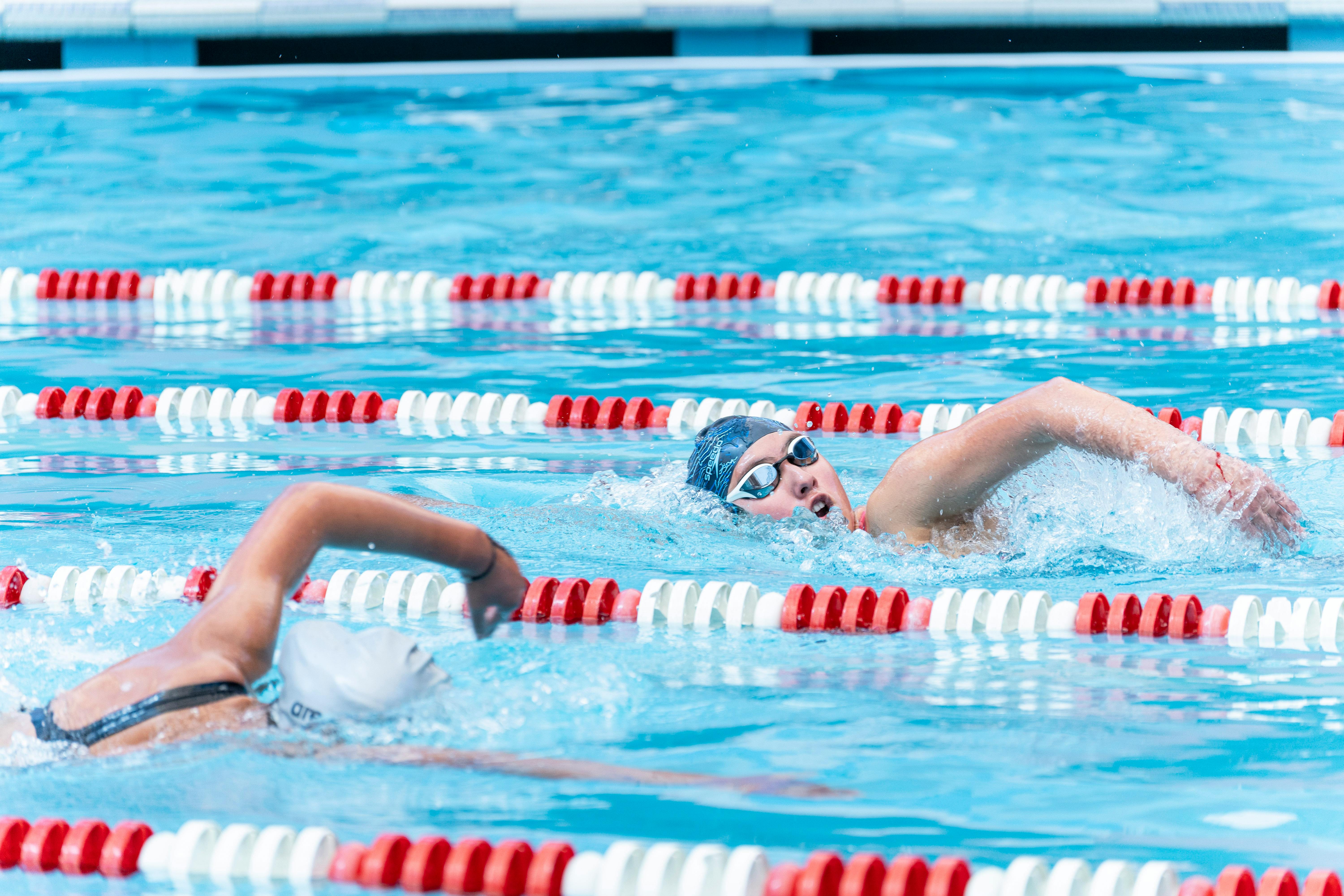 Competitive Swimmer in Action During Race · Free Stock Photo