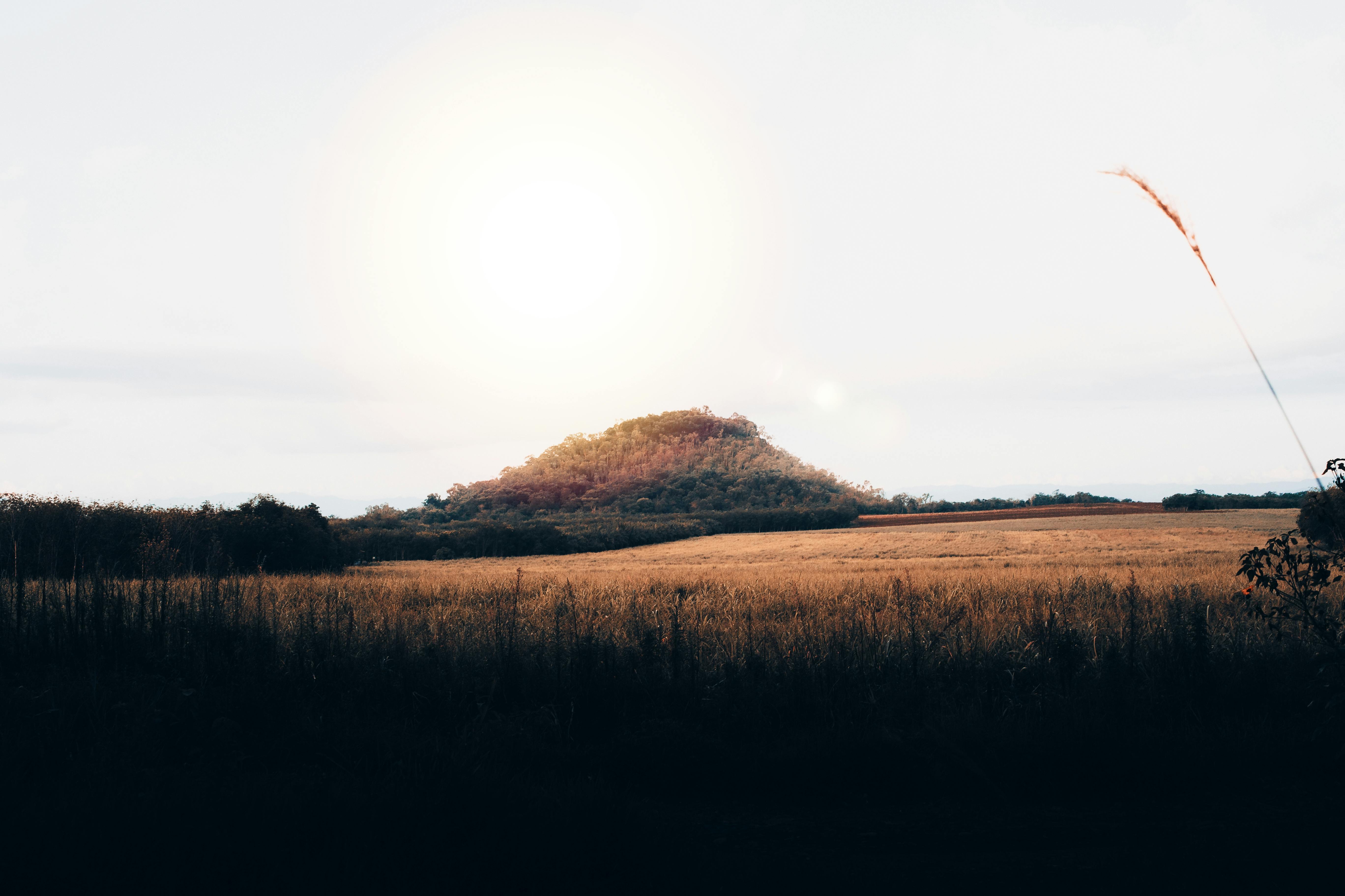 Field and Hill behind · Free Stock Photo