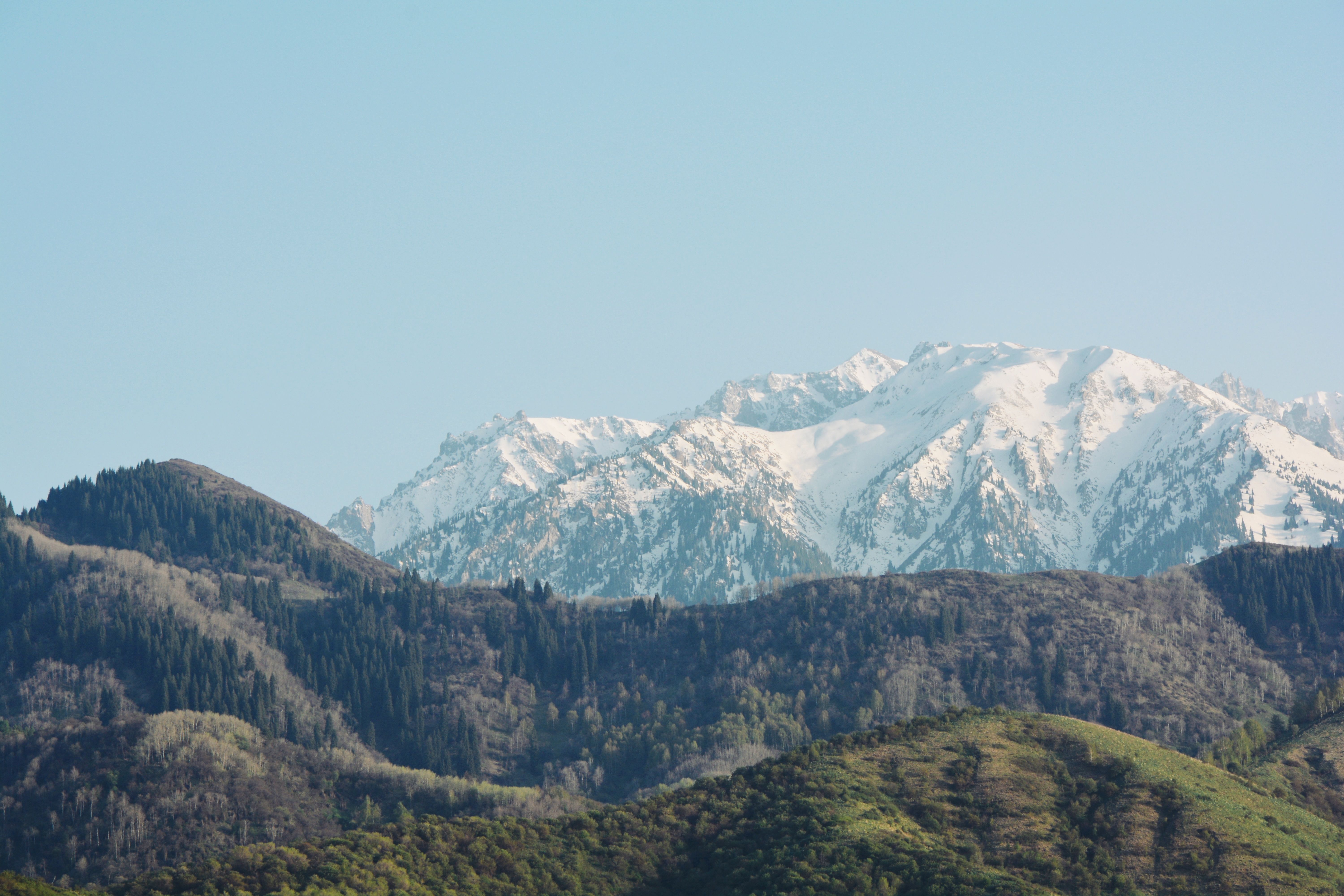 Murree Hills Photos, Download The BEST Free Murree Hills Stock Photos ...