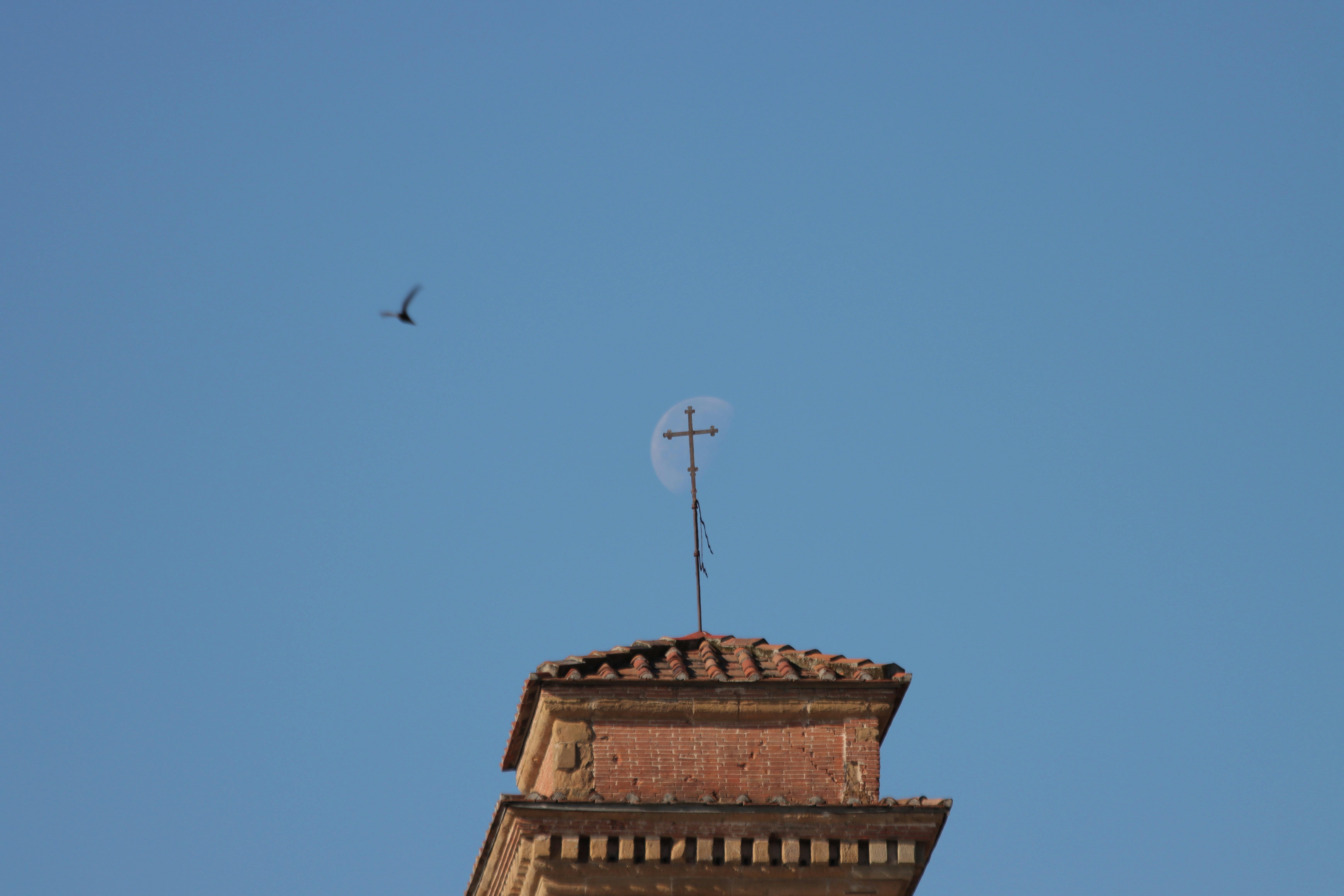 A bird flying over a church roof · Free Stock Photo