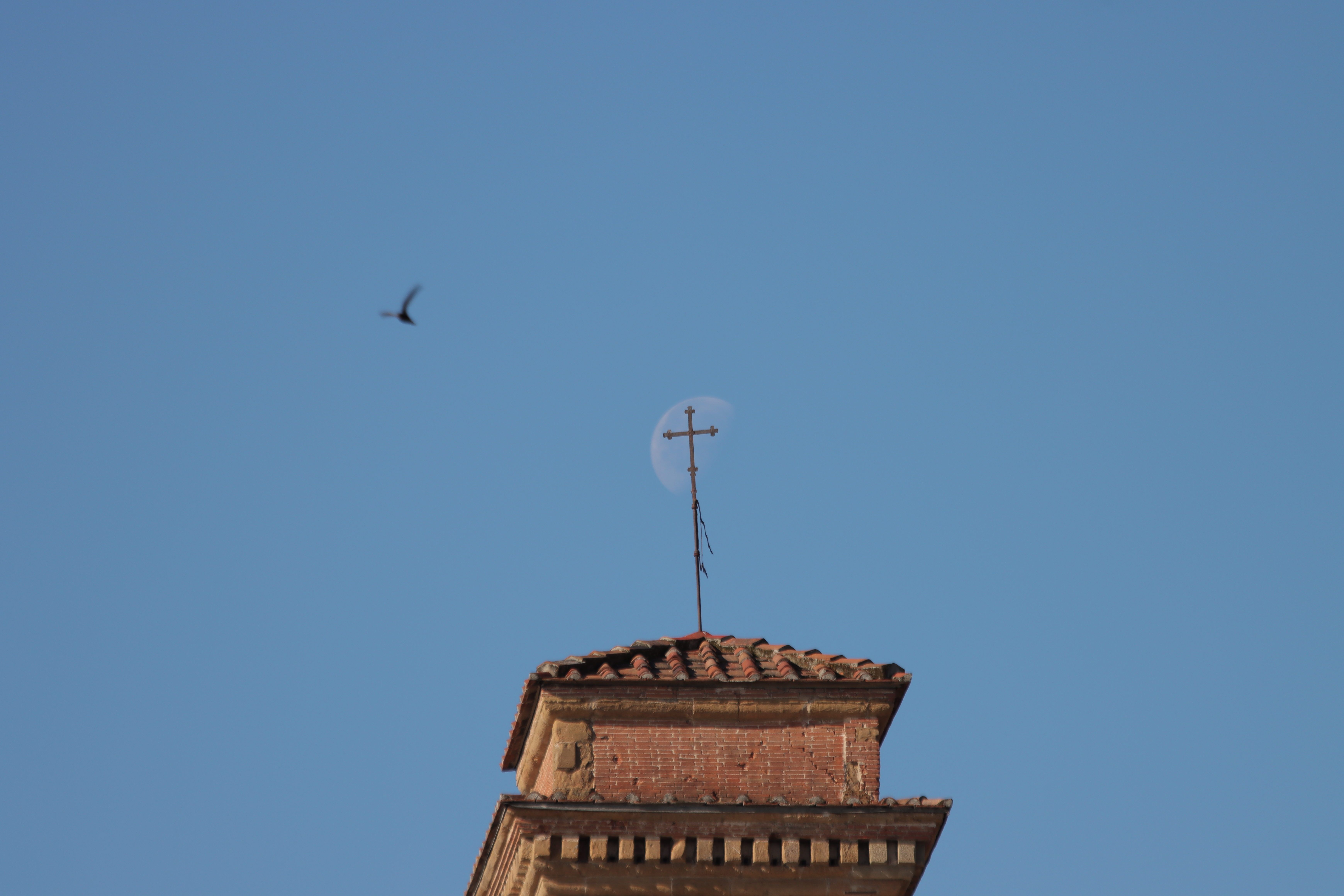A bird flying over a church roof · Free Stock Photo