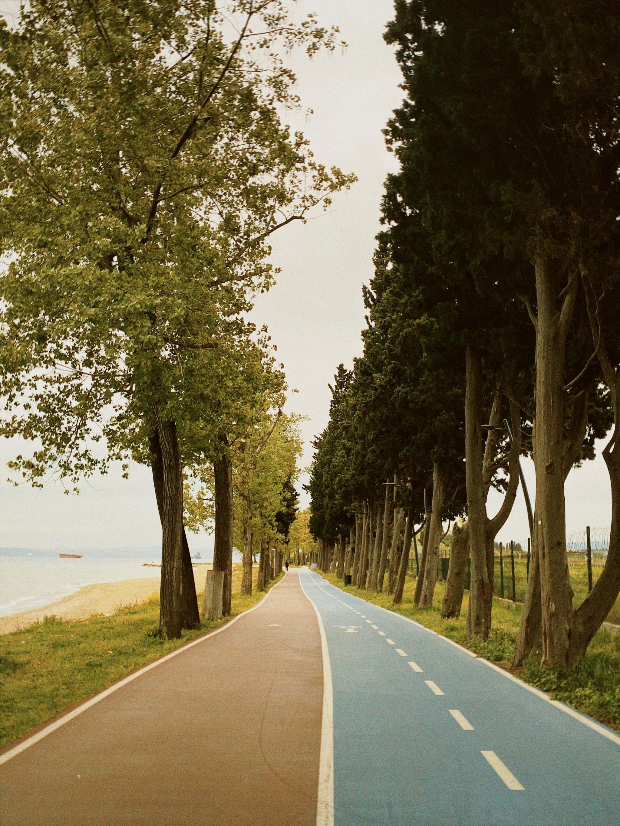 Bike Path Photos, Download The BEST Free Bike Path Stock Photos & HD Images