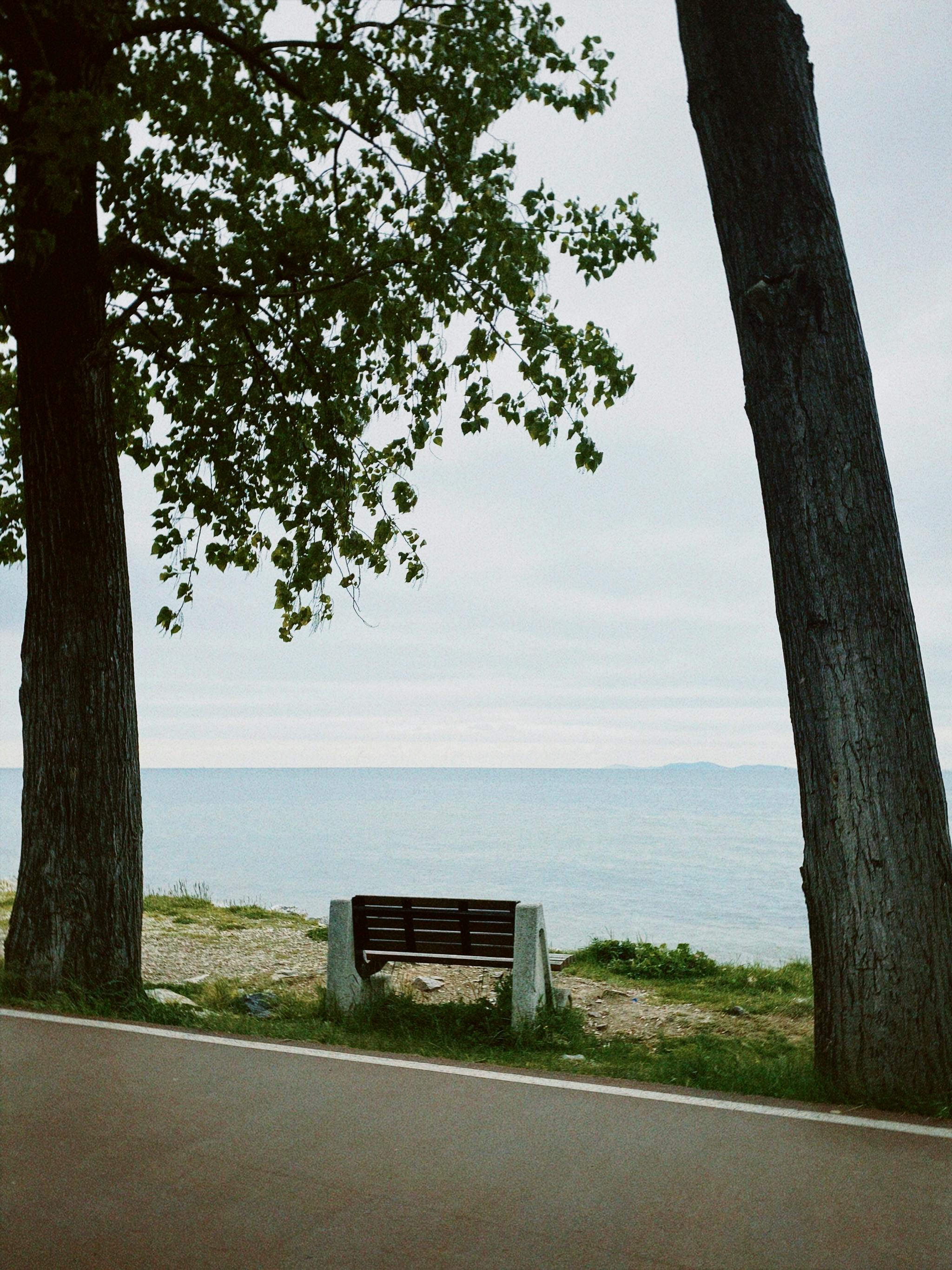 A Bench by the Road · Free Stock Photo