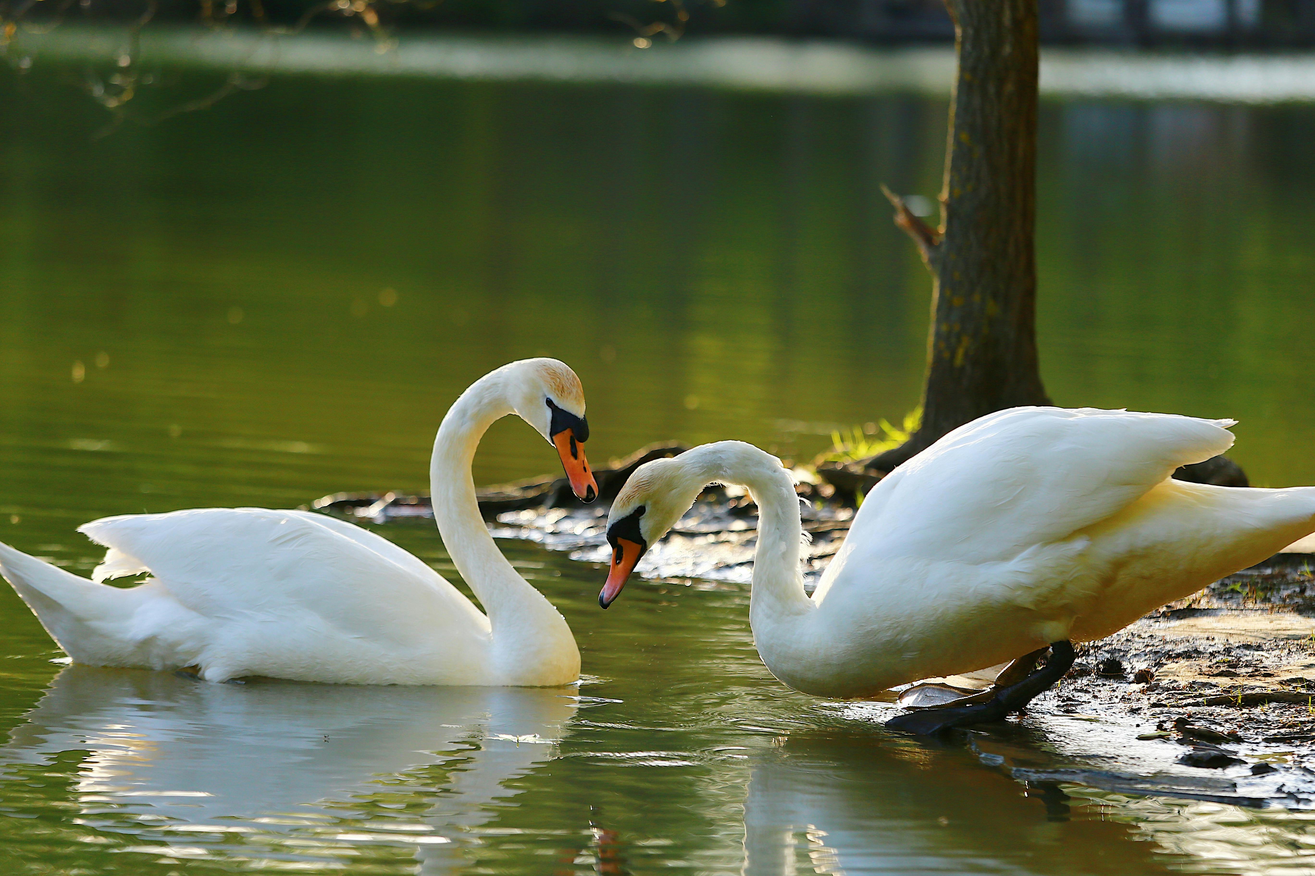 Wnter Wallpaper Photos, Download The BEST Free Wnter Wallpaper Stock ...