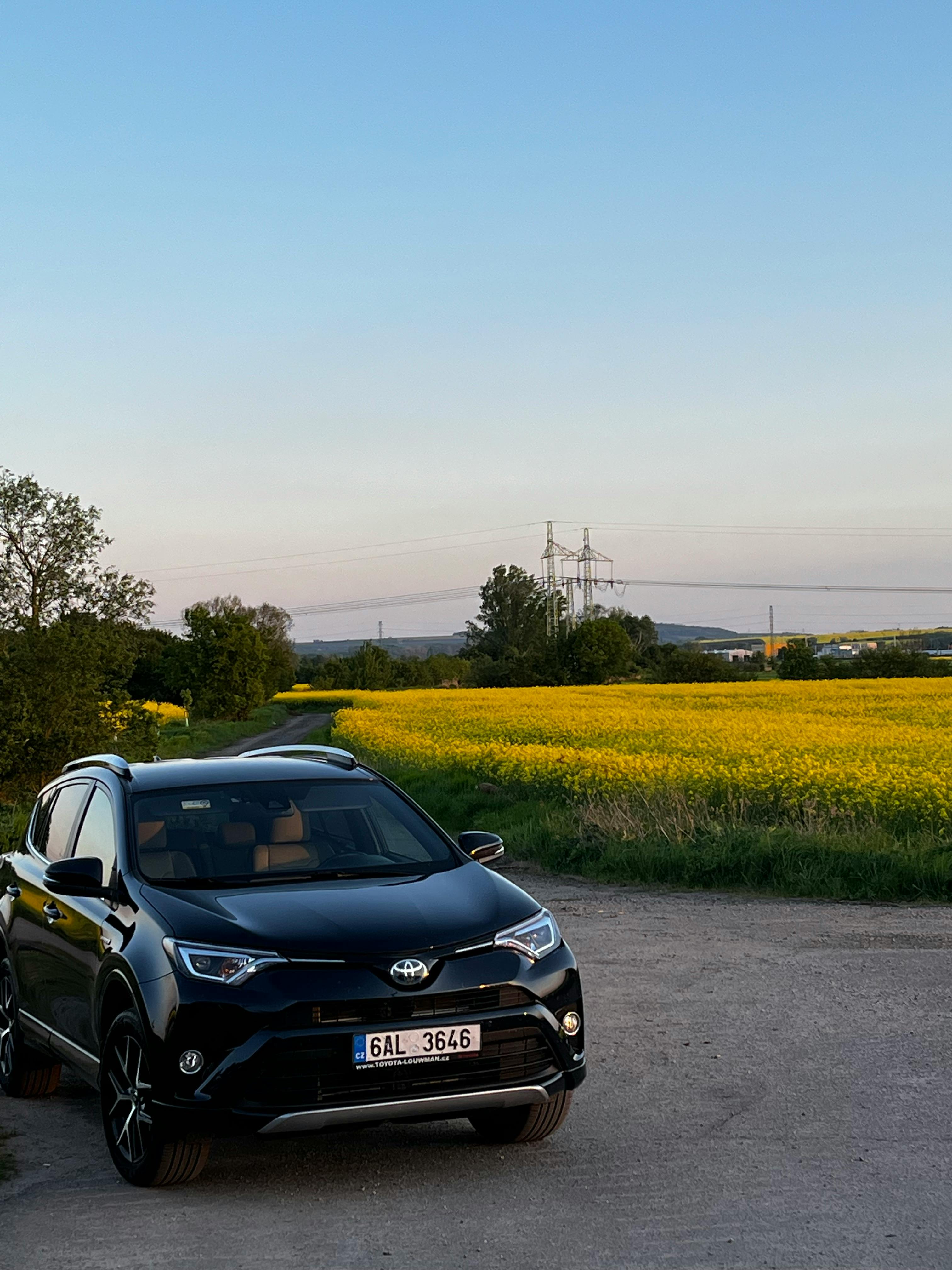 Hybrid Photos, Download The BEST Free Hybrid Stock Photos & HD Images