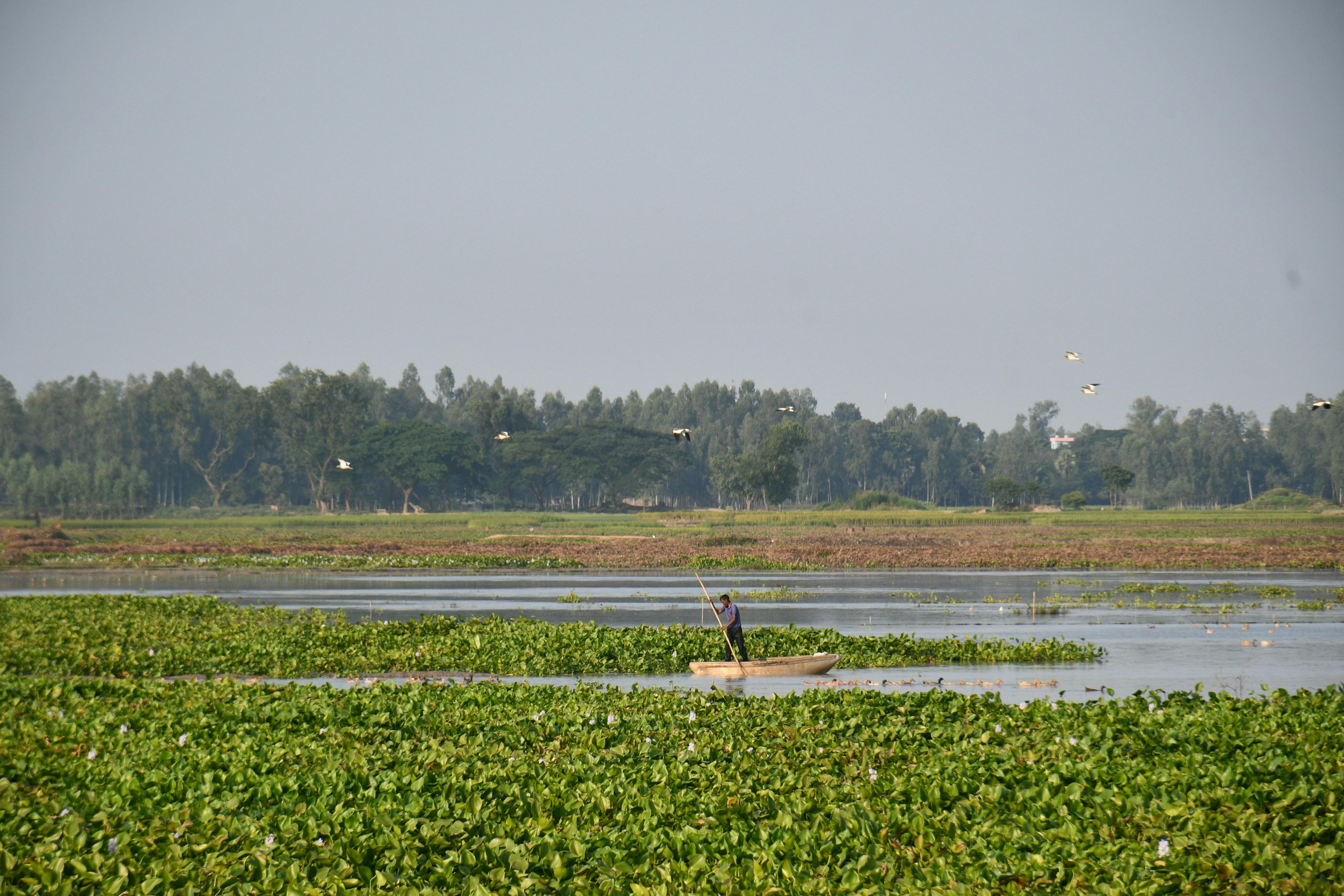 Wetland And Aquatic Photos, Download The BEST Free Wetland And Aquatic ...