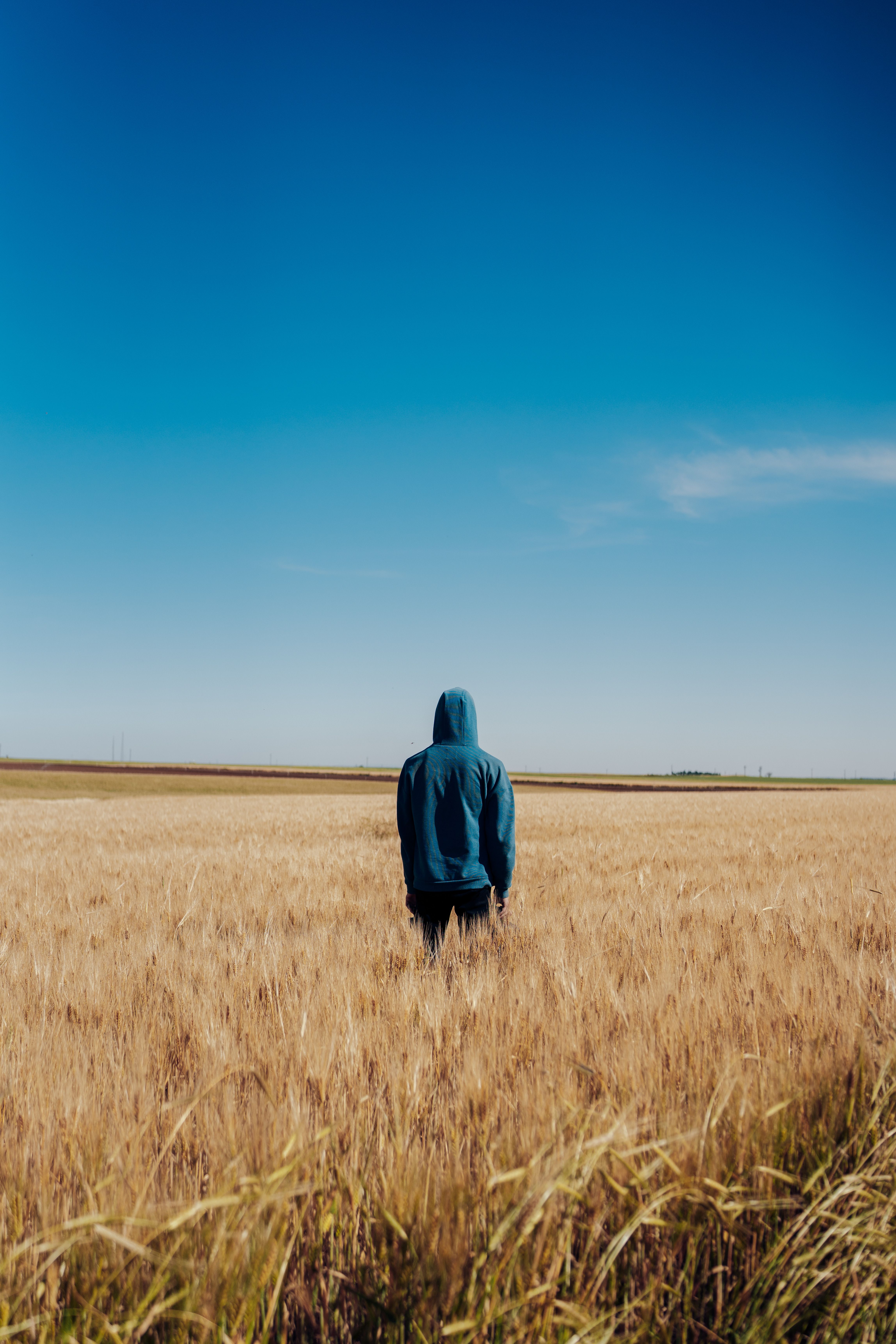 Man Standing on Grass Field · Free Stock Photo