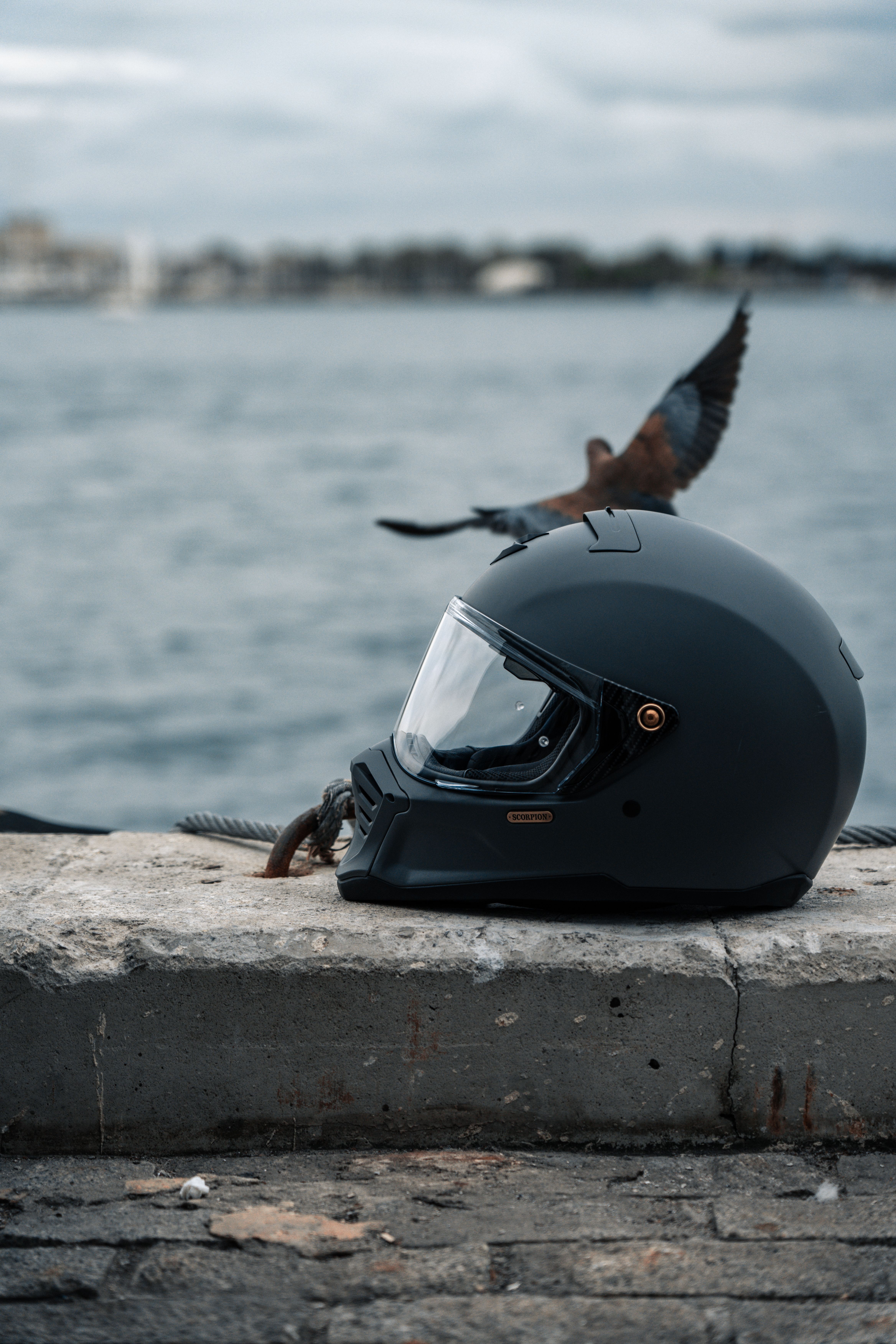 Motorcycle Helmet with Bird behind · Free Stock Photo