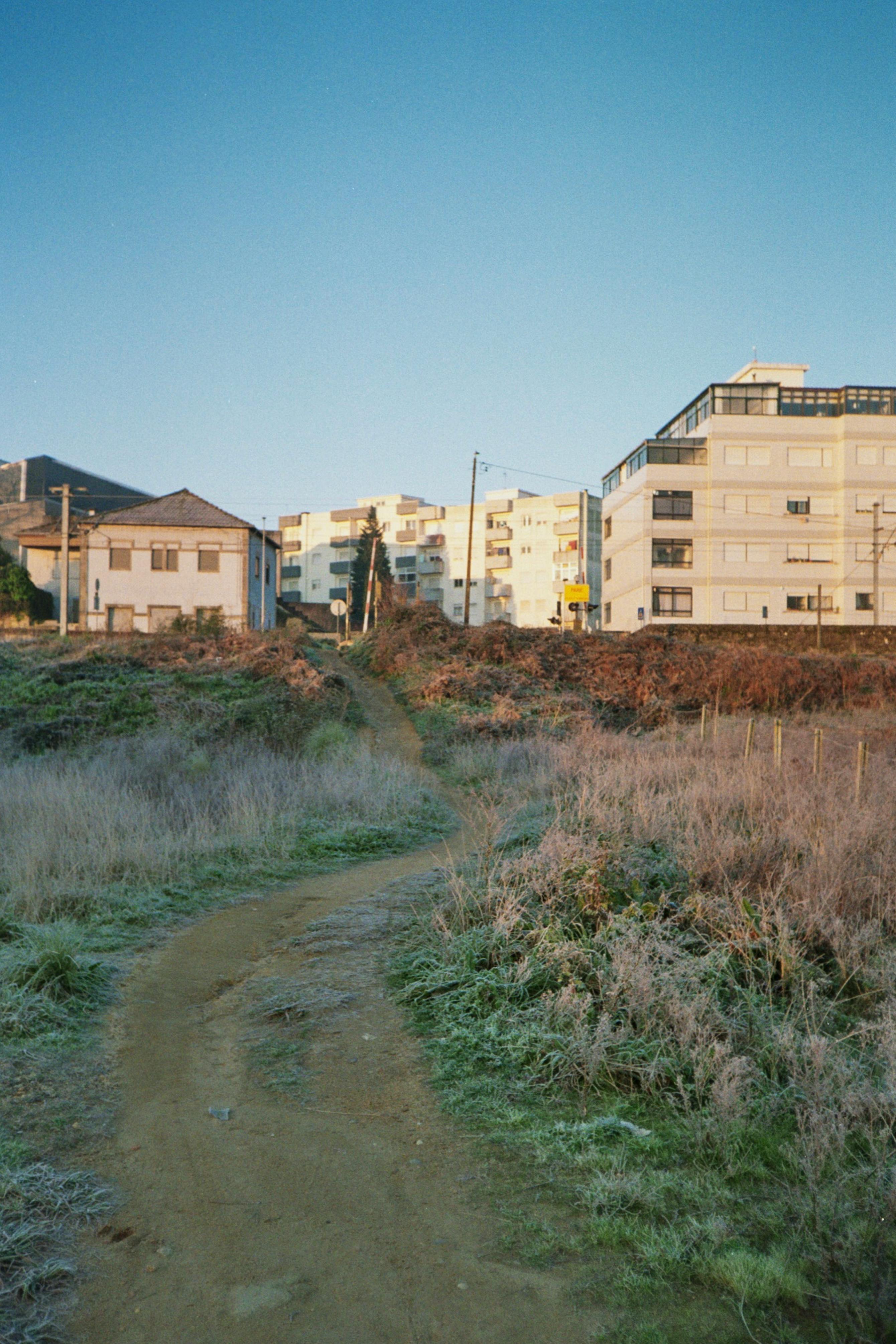 Footpath towards Houses in Town · Free Stock Photo
