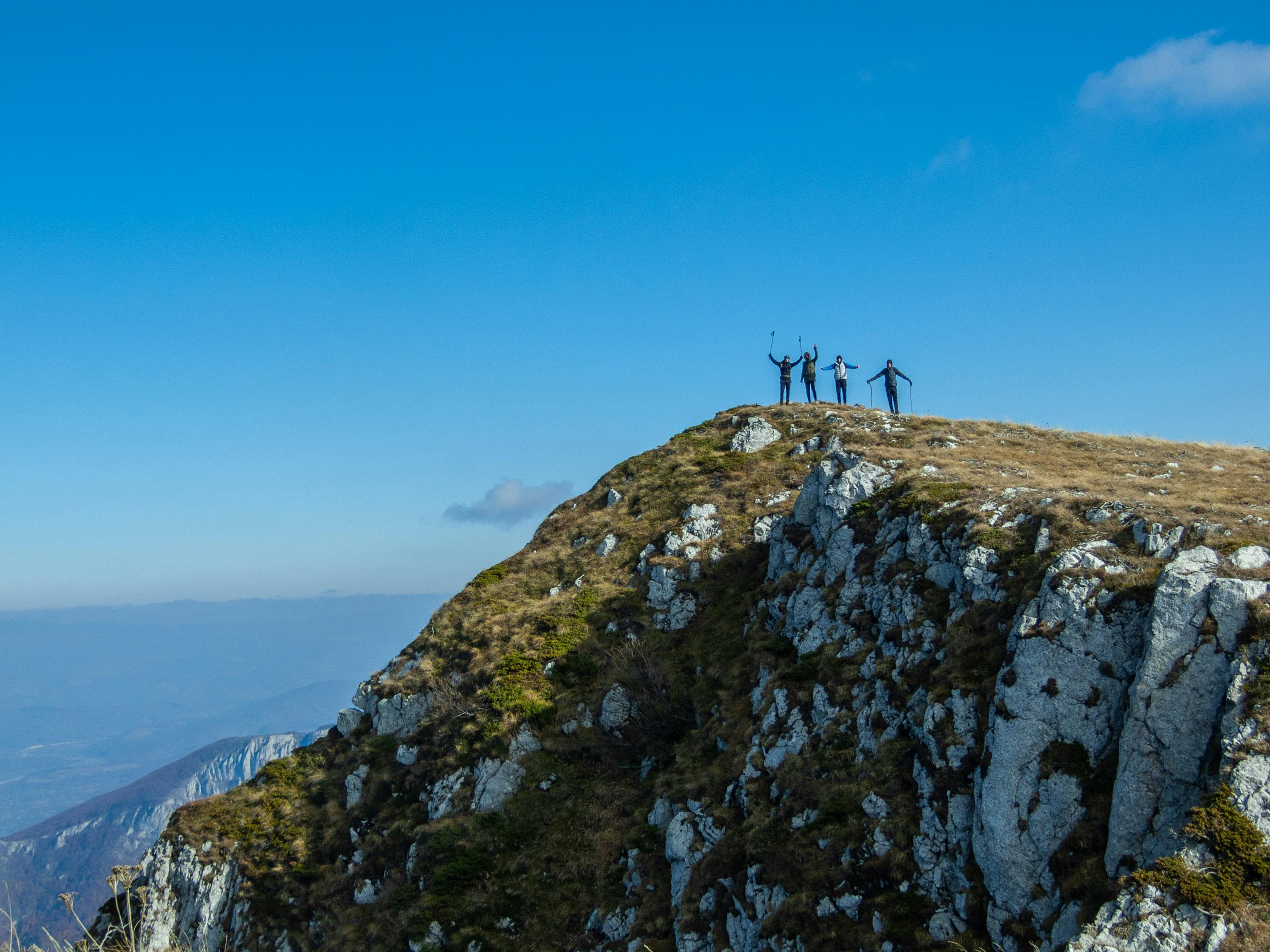 Octagon Group Photos, Download The BEST Free Octagon Group Stock Photos ...