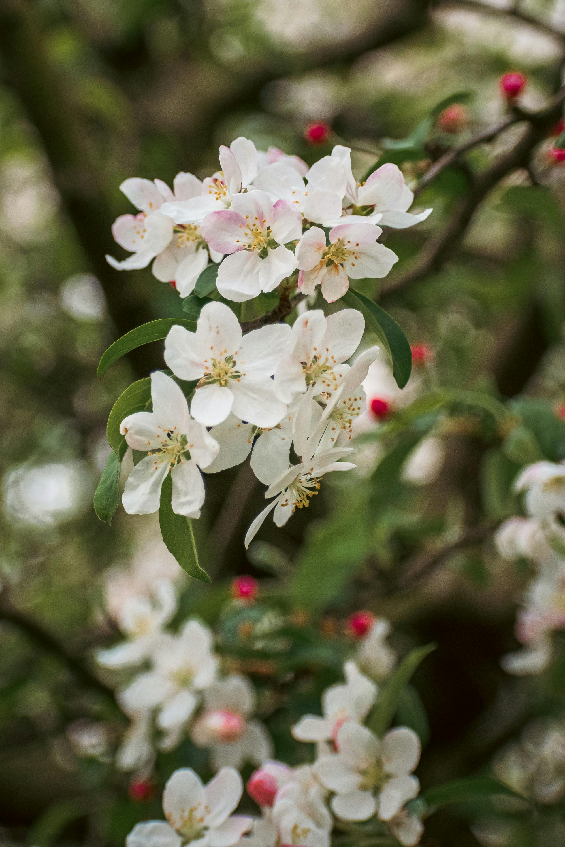 White Screens Photos, Download The BEST Free White Screens Stock Photos ...