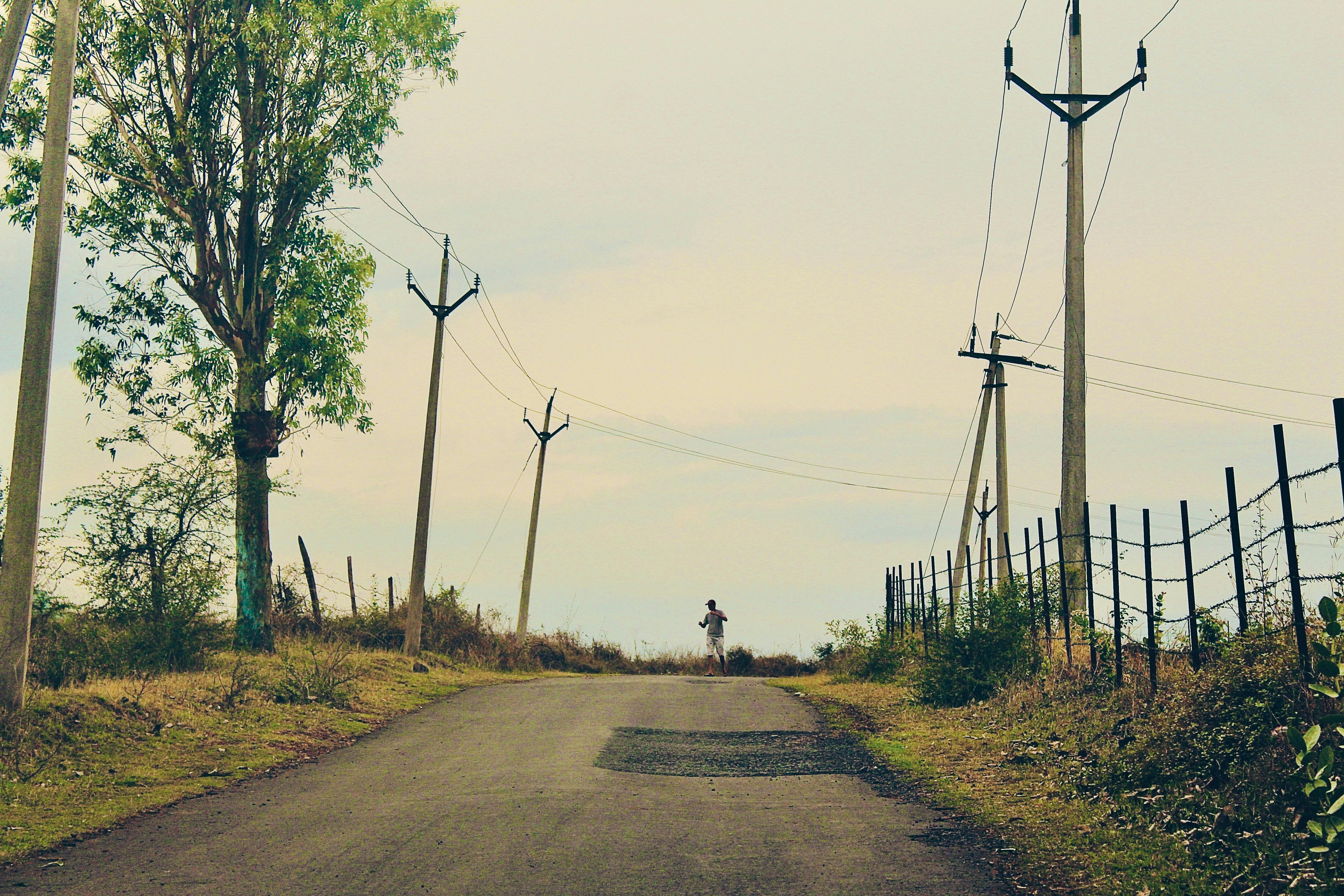 Telephone Poles along a Country Road · Free Stock Photo