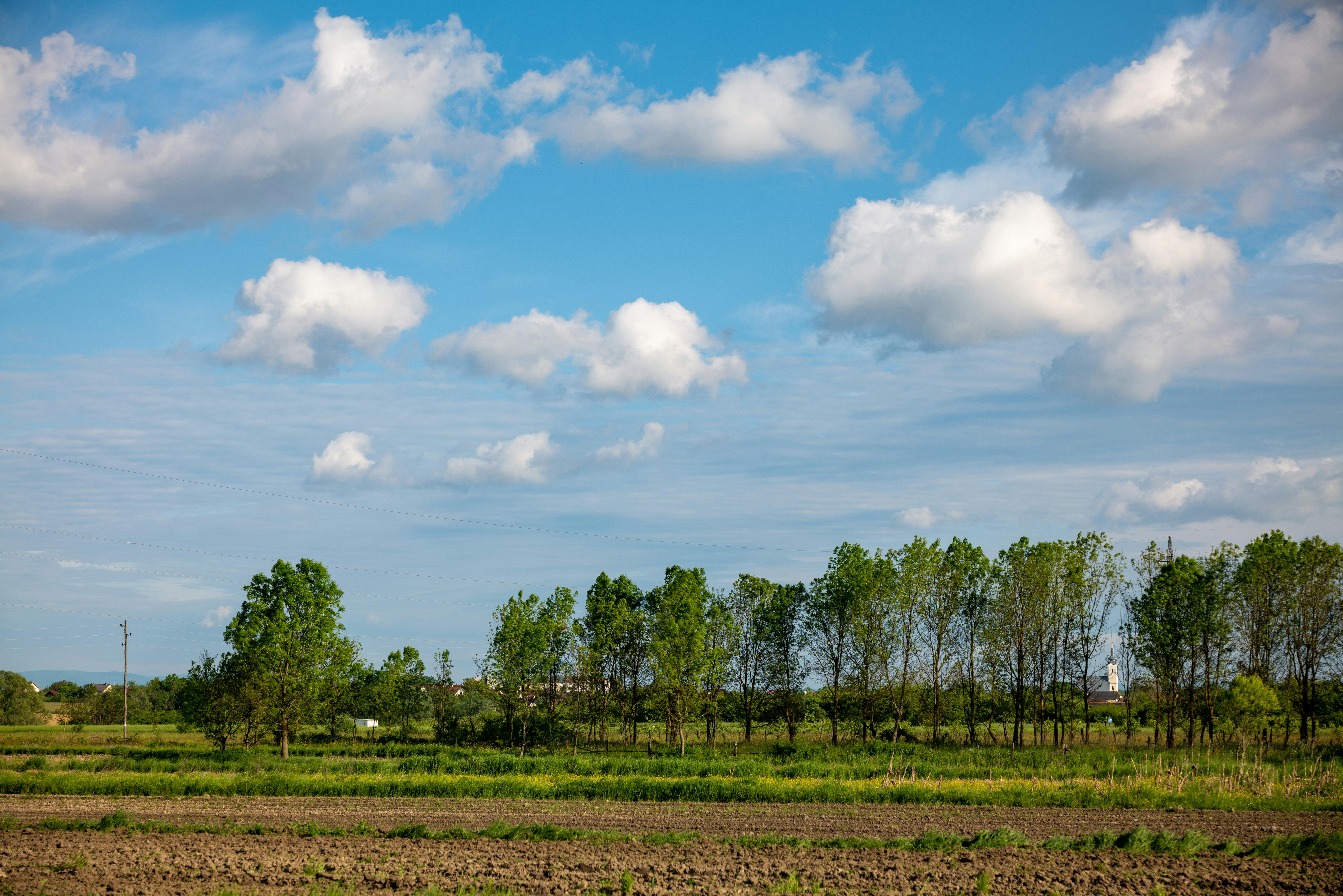 Tree Line Separating Agricultural Fields · Free Stock Photo