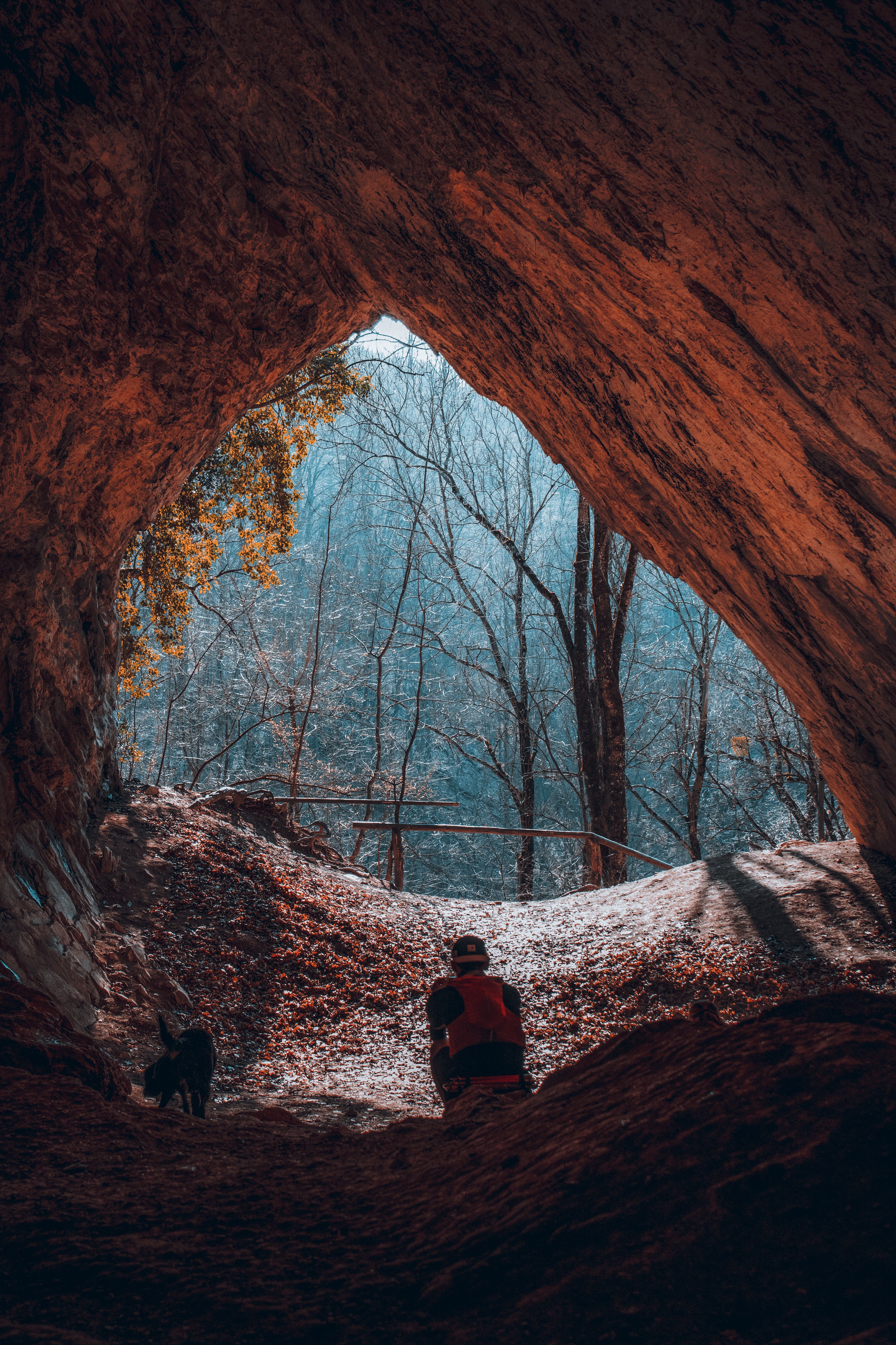 Cave Forests Photos, Download The BEST Free Cave Forests Stock Photos ...