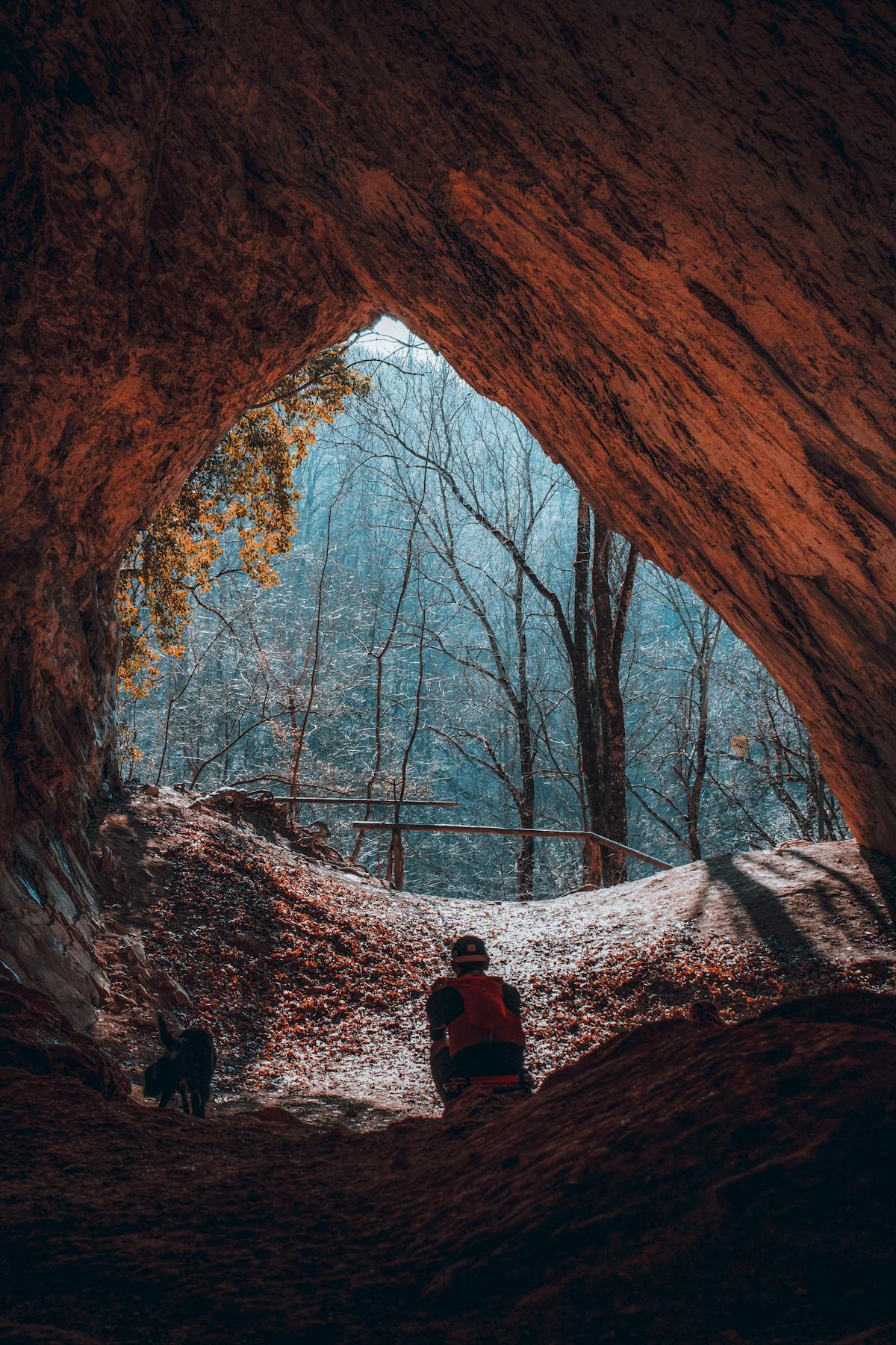 Cave 6 The Forest Keycard Photos, Download The BEST Free Cave 6 The ...