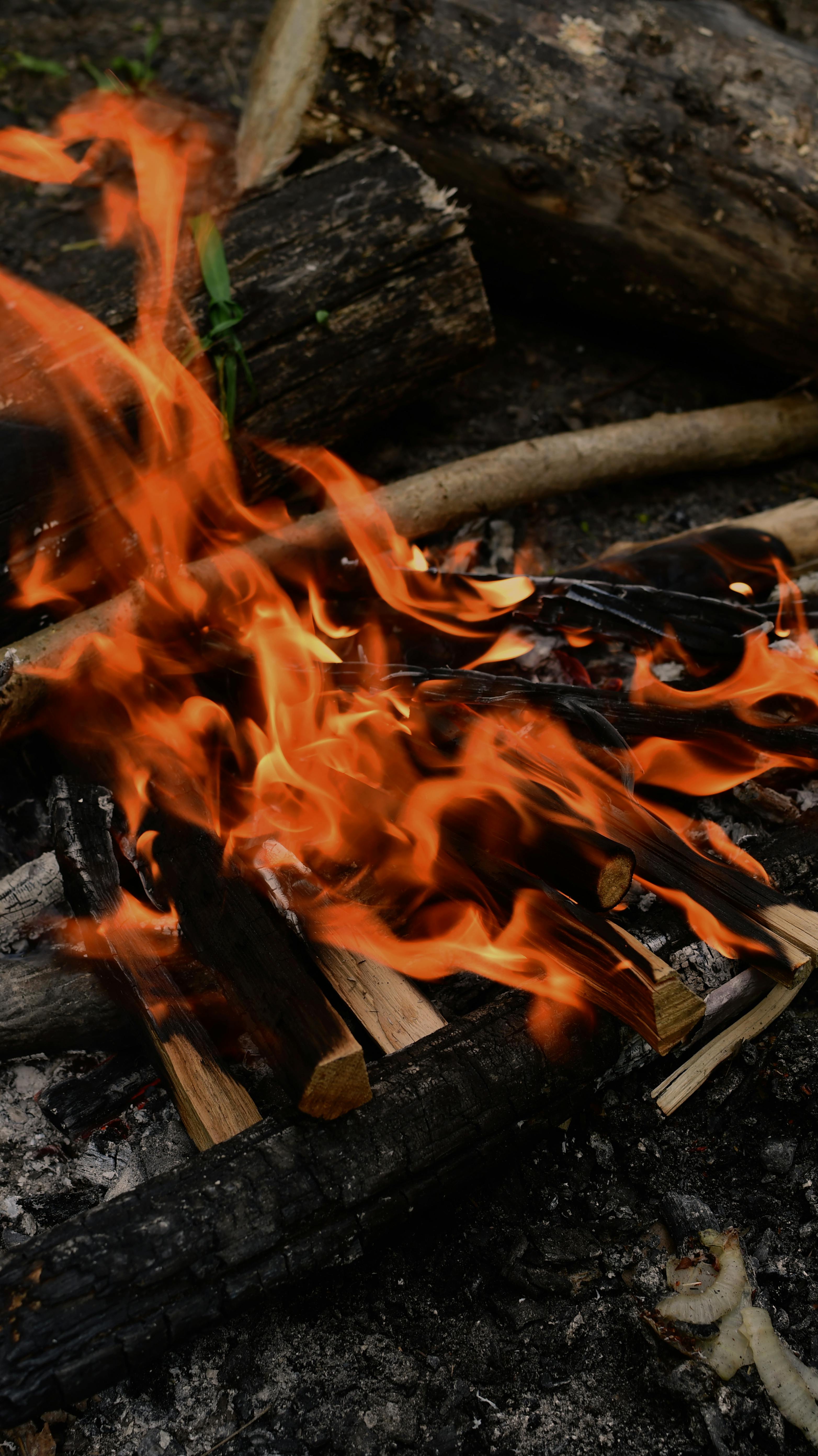 Bonfire Burning · Free Stock Photo