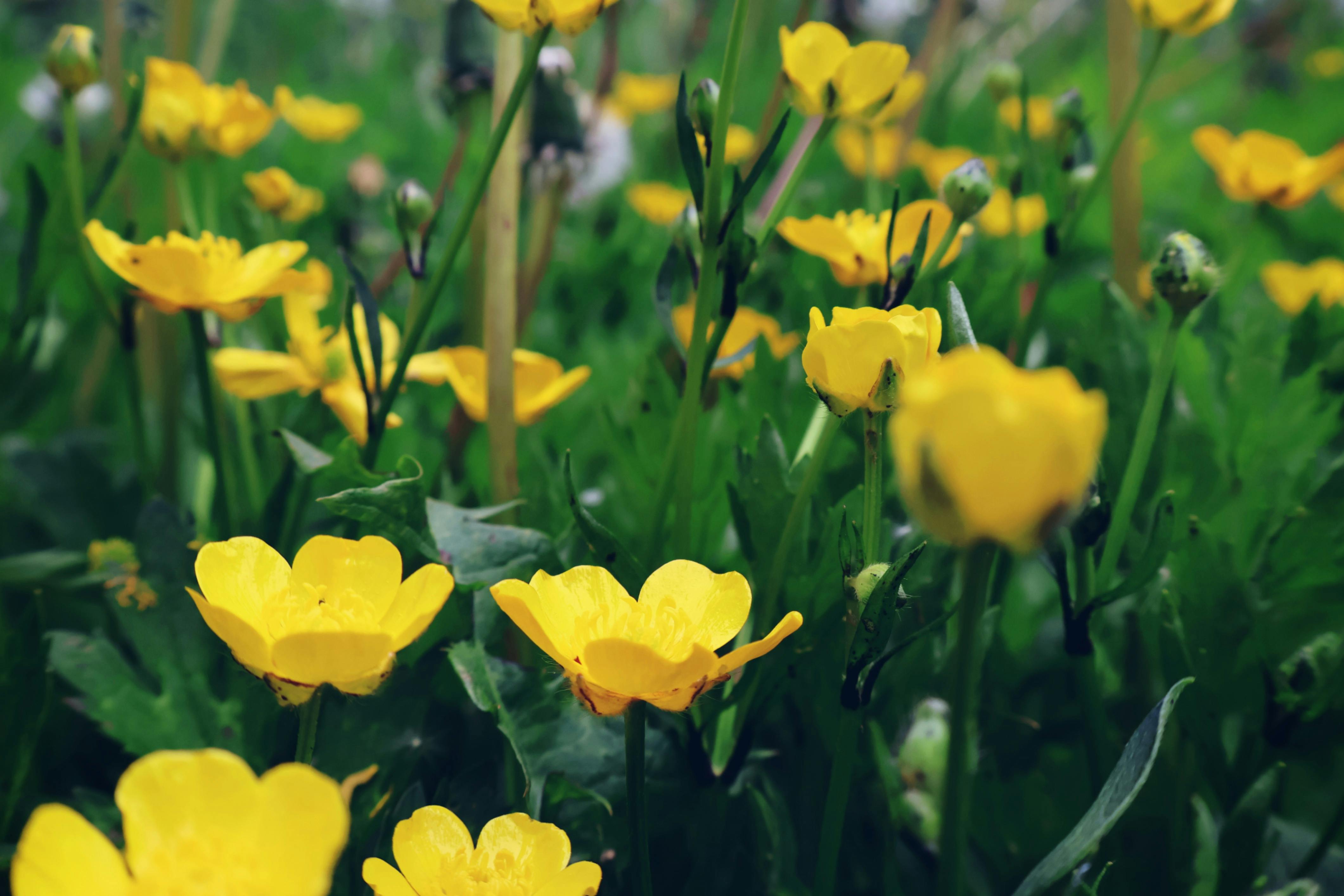 David Rodrigues - 사진