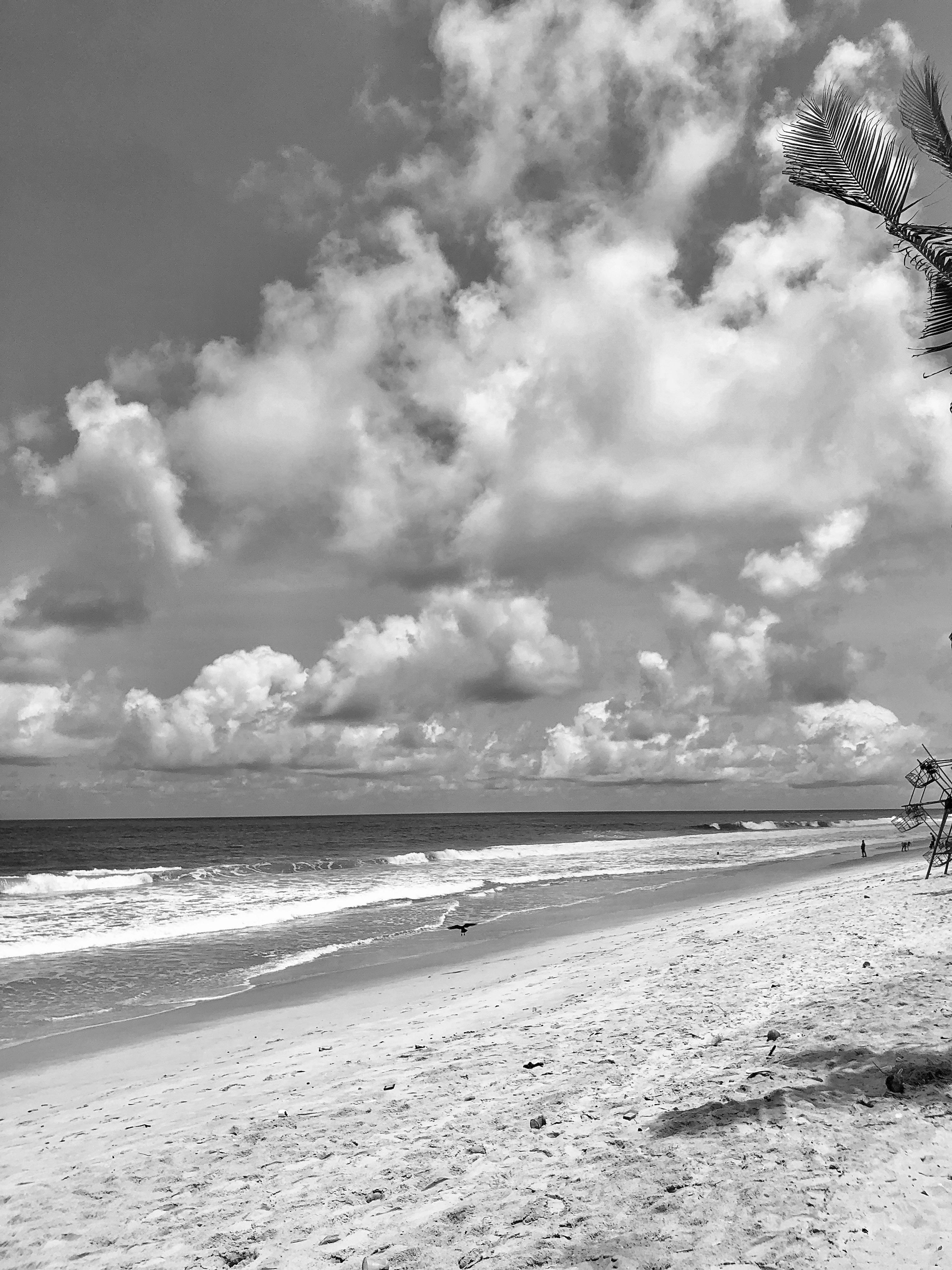 Beach in Black and White · Free Stock Photo