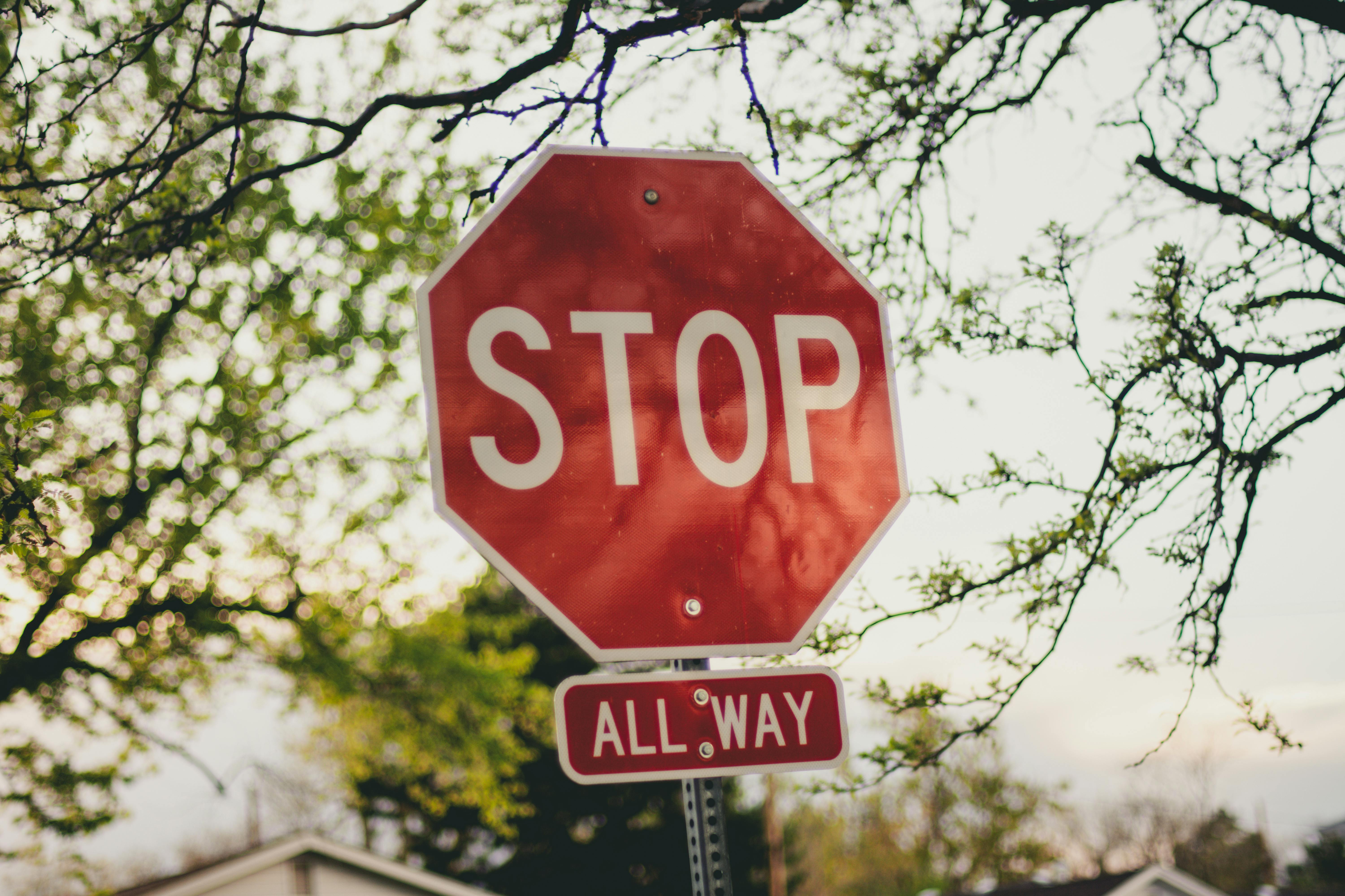 Traffic Lights on a Street · Free Stock Photo