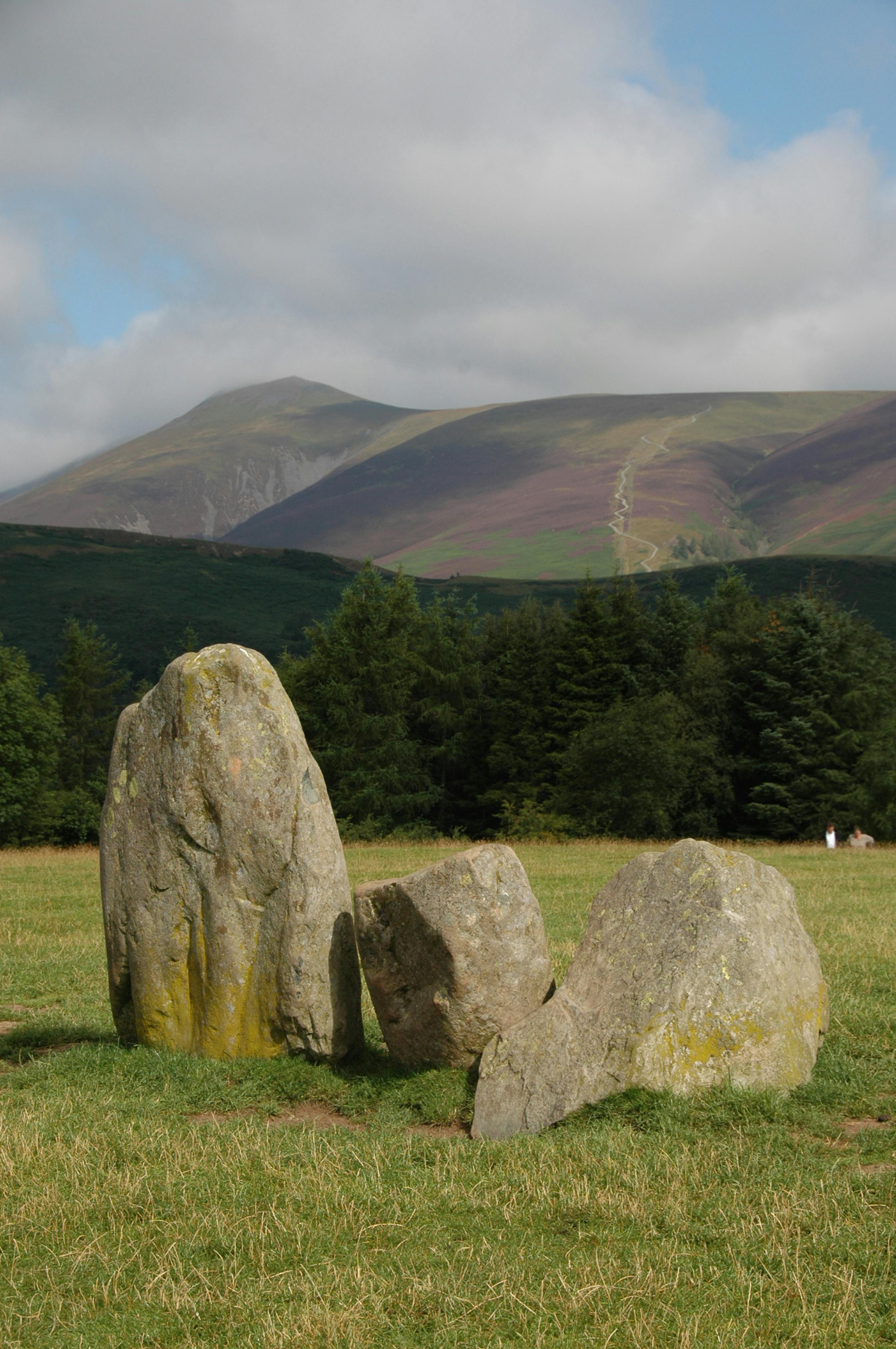 Stone Near Tree · Free Stock Photo