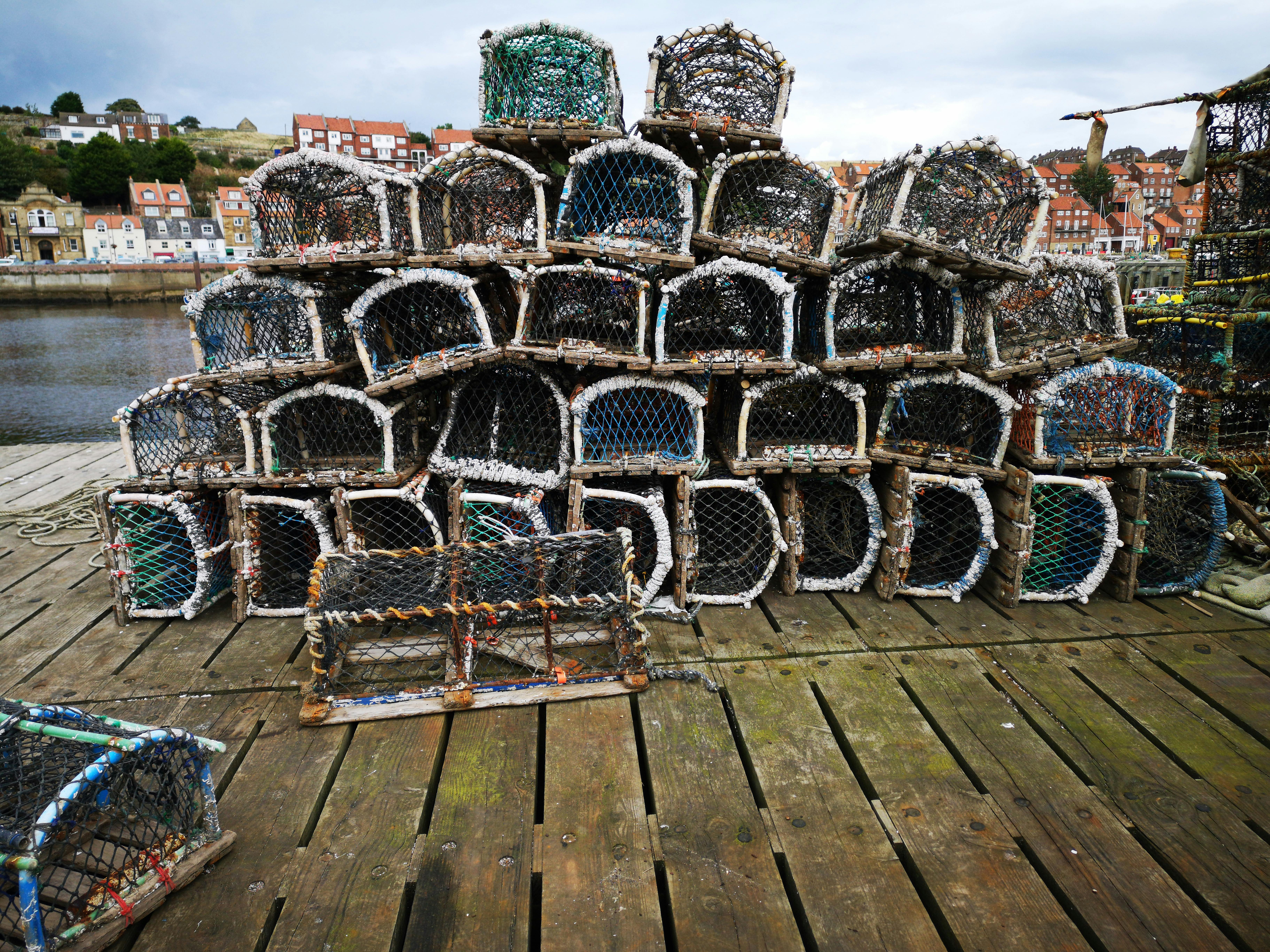 Luke Miller - Photography