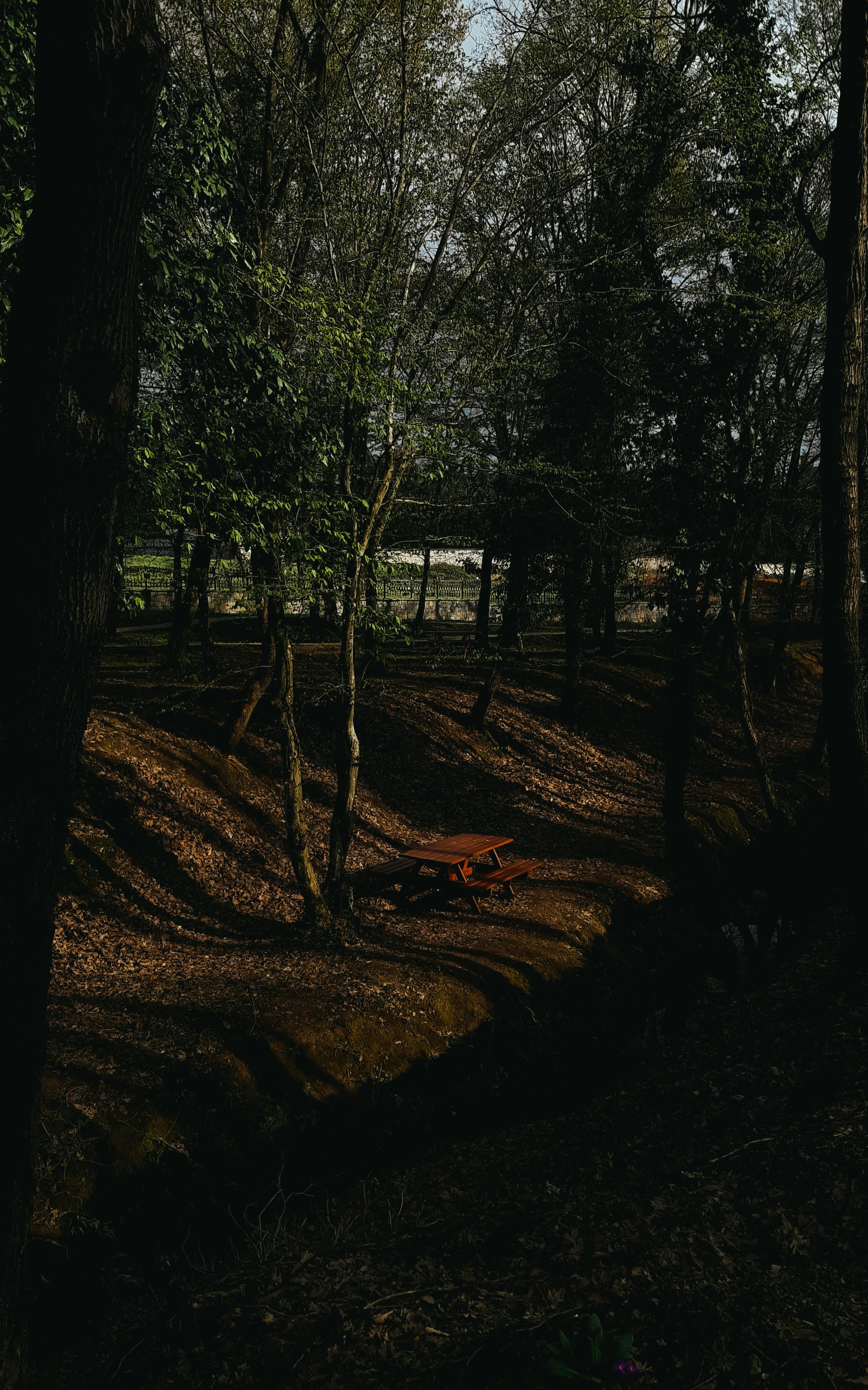 Anger With Shadows Photos, Download The BEST Free Anger With Shadows ...