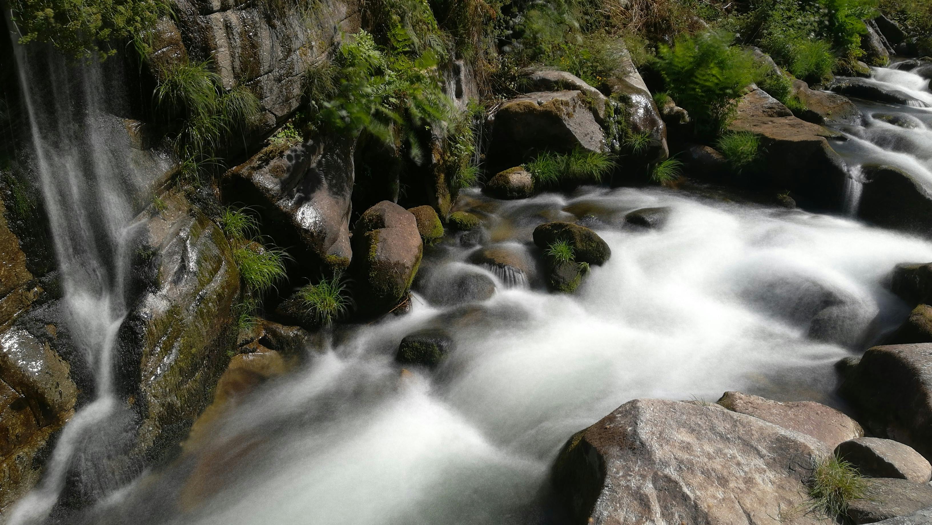 Crazy Motion Photos, Download The BEST Free Crazy Motion Stock Photos ...