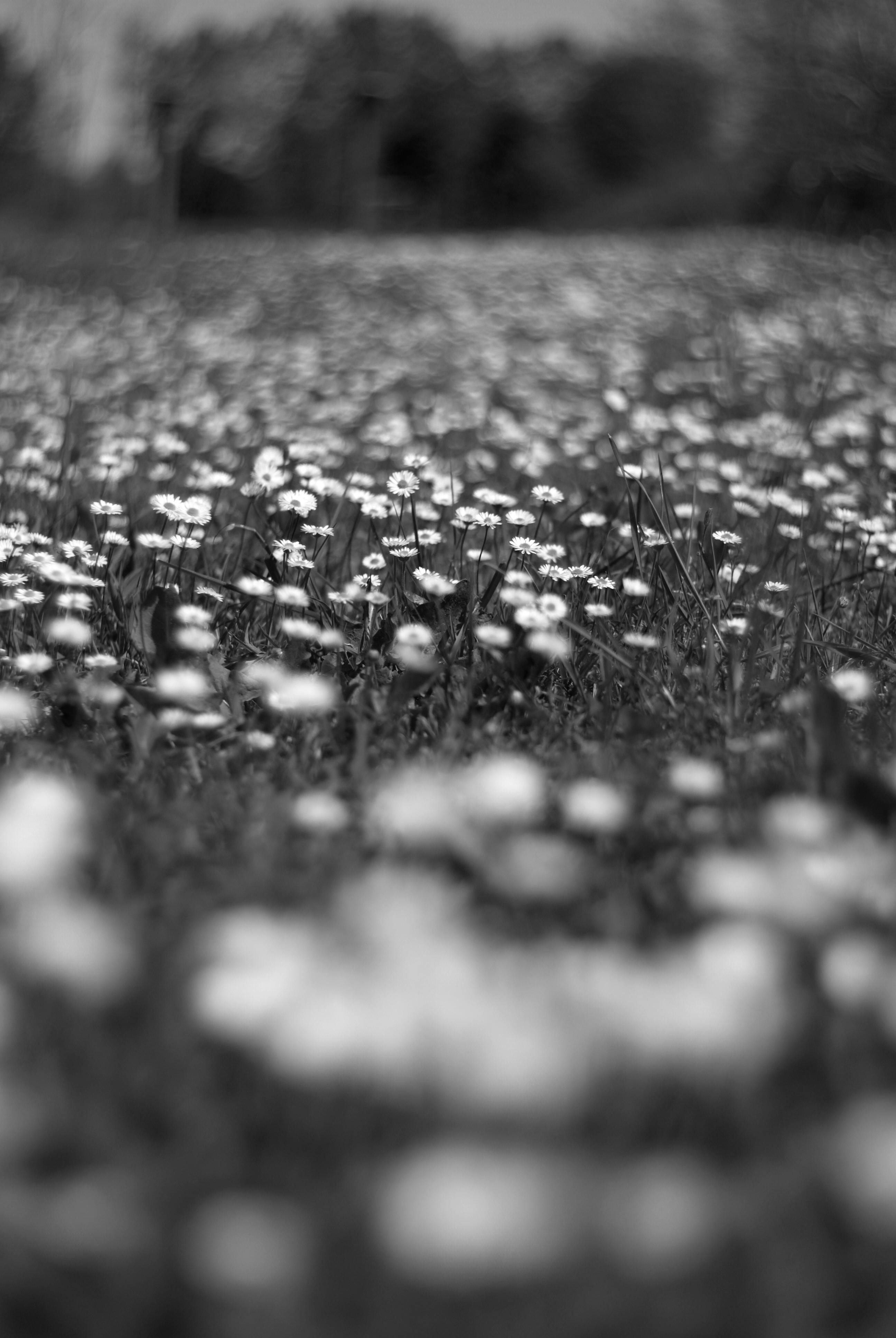 Rainbow Grayscale Photos, Download The BEST Free Rainbow Grayscale ...