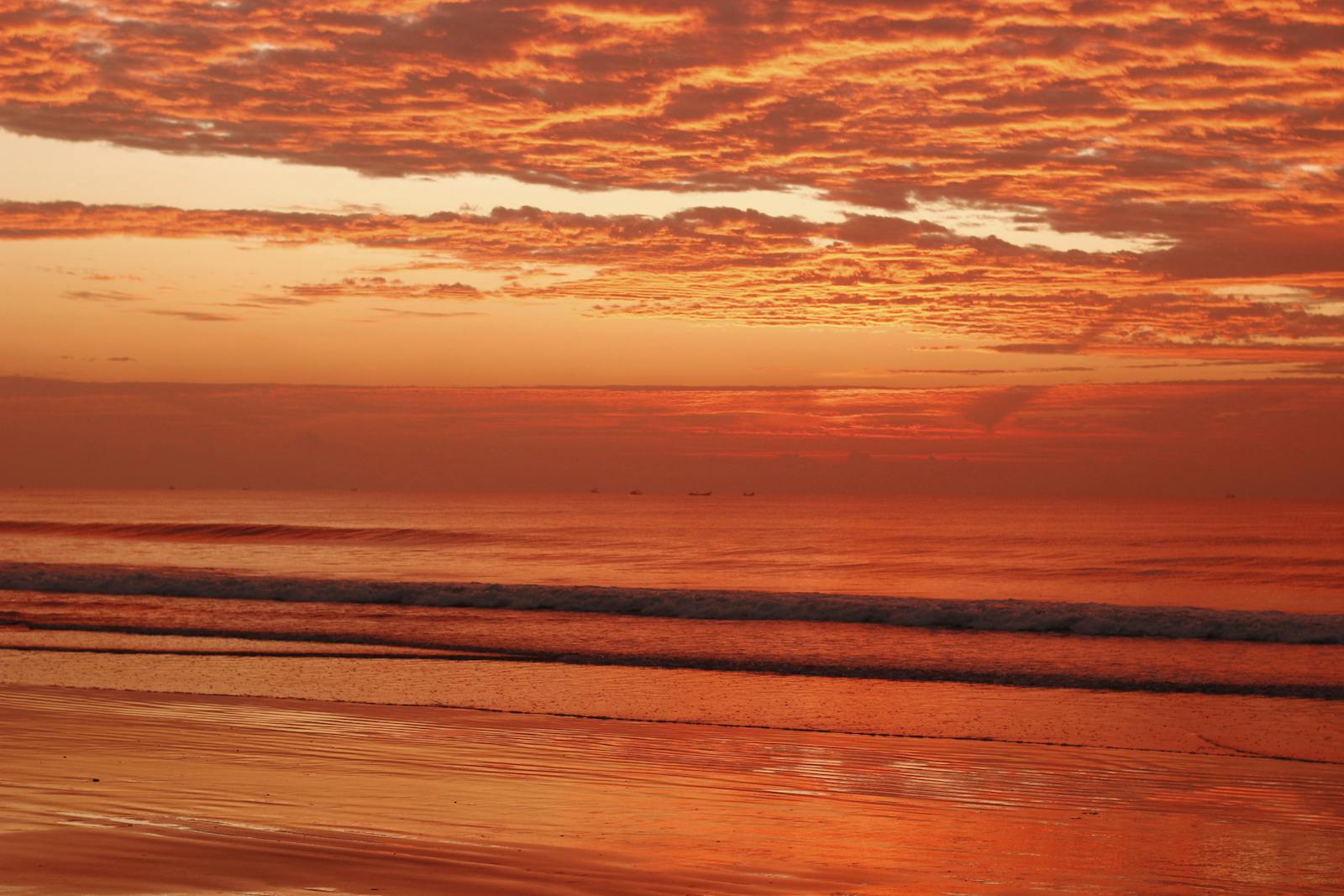 Beach Sunset Verticle Photos, Download The BEST Free Beach Sunset ...