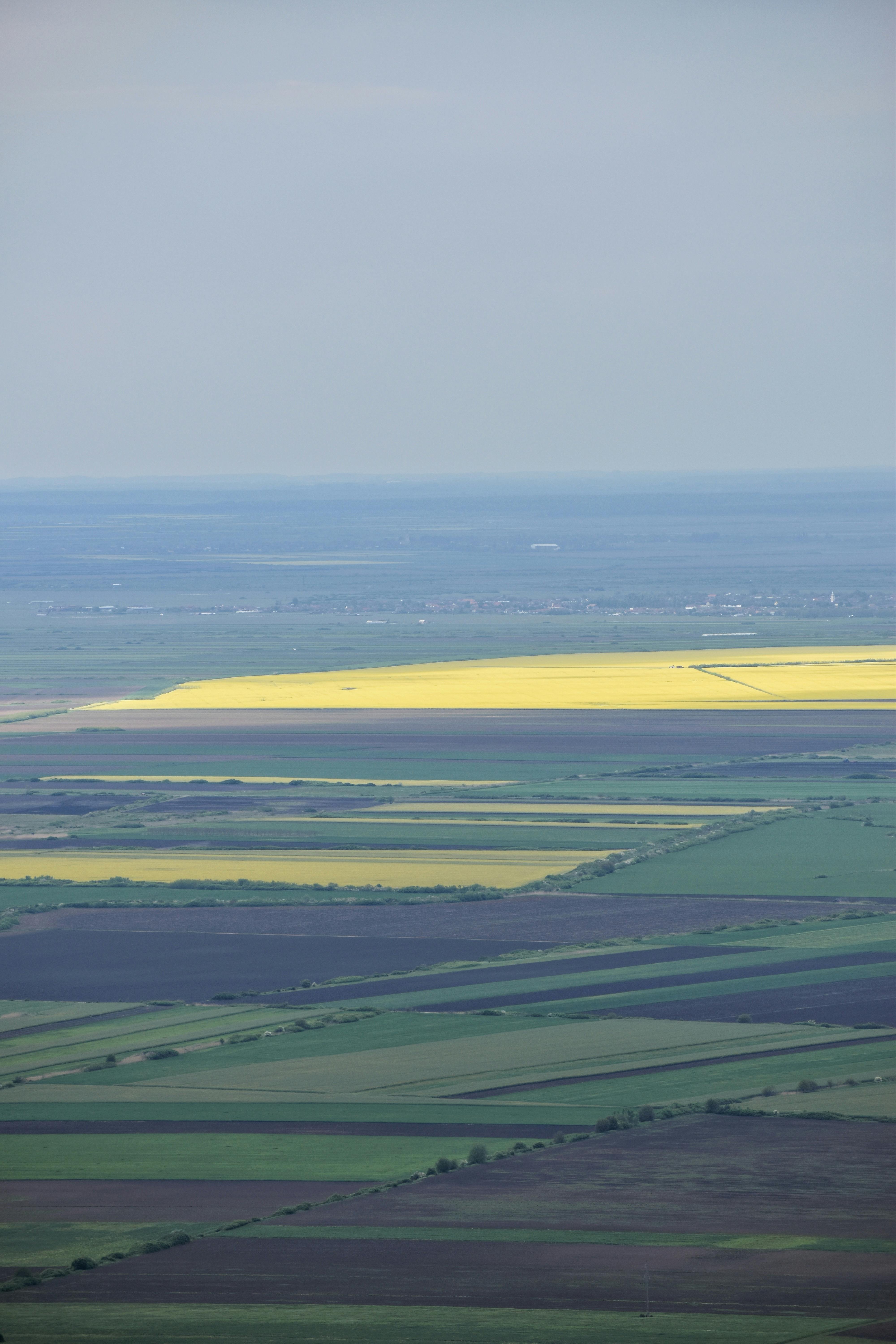 Obscured View Photos, Download The BEST Free Obscured View Stock Photos ...