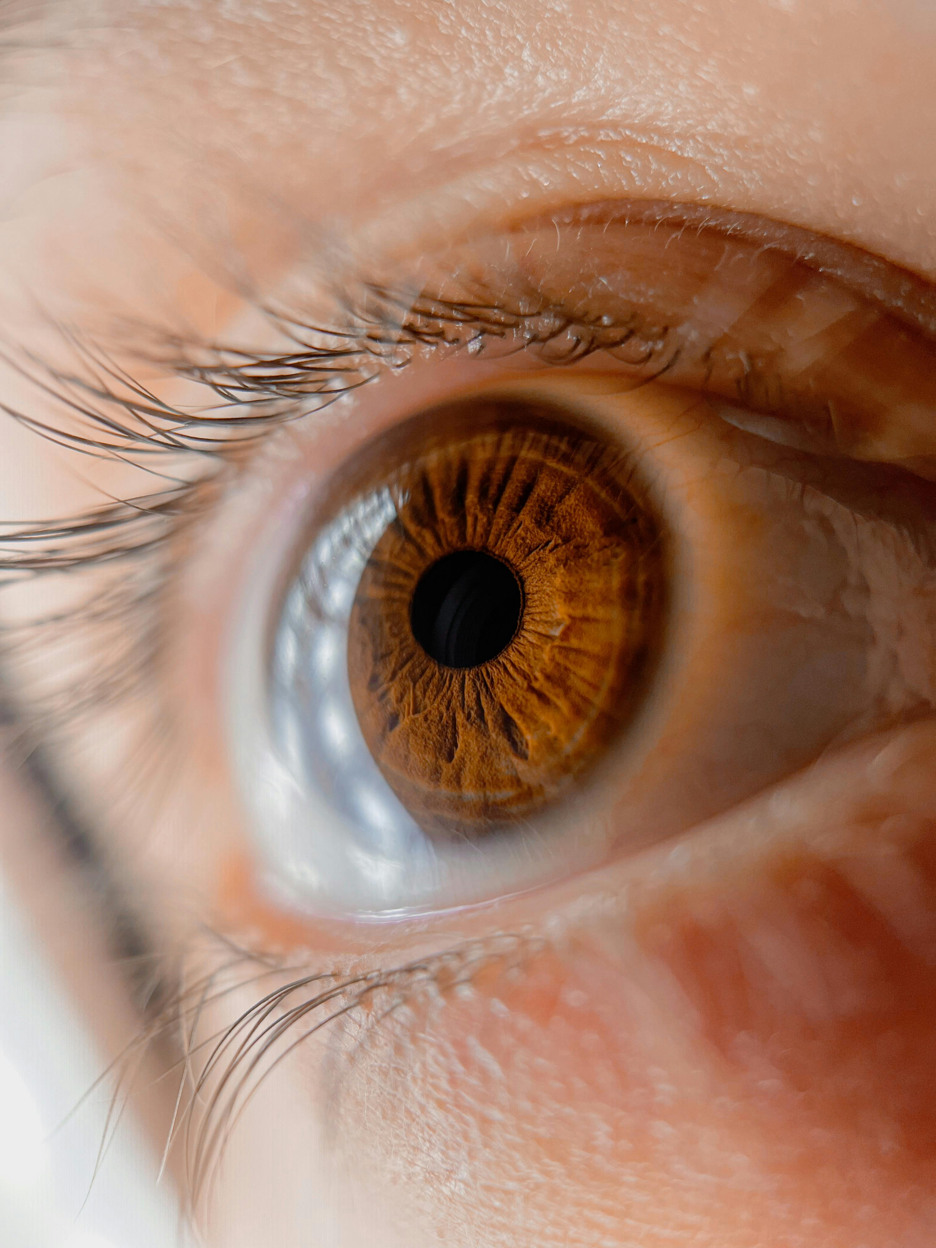 Human Eye · Free Stock Photo