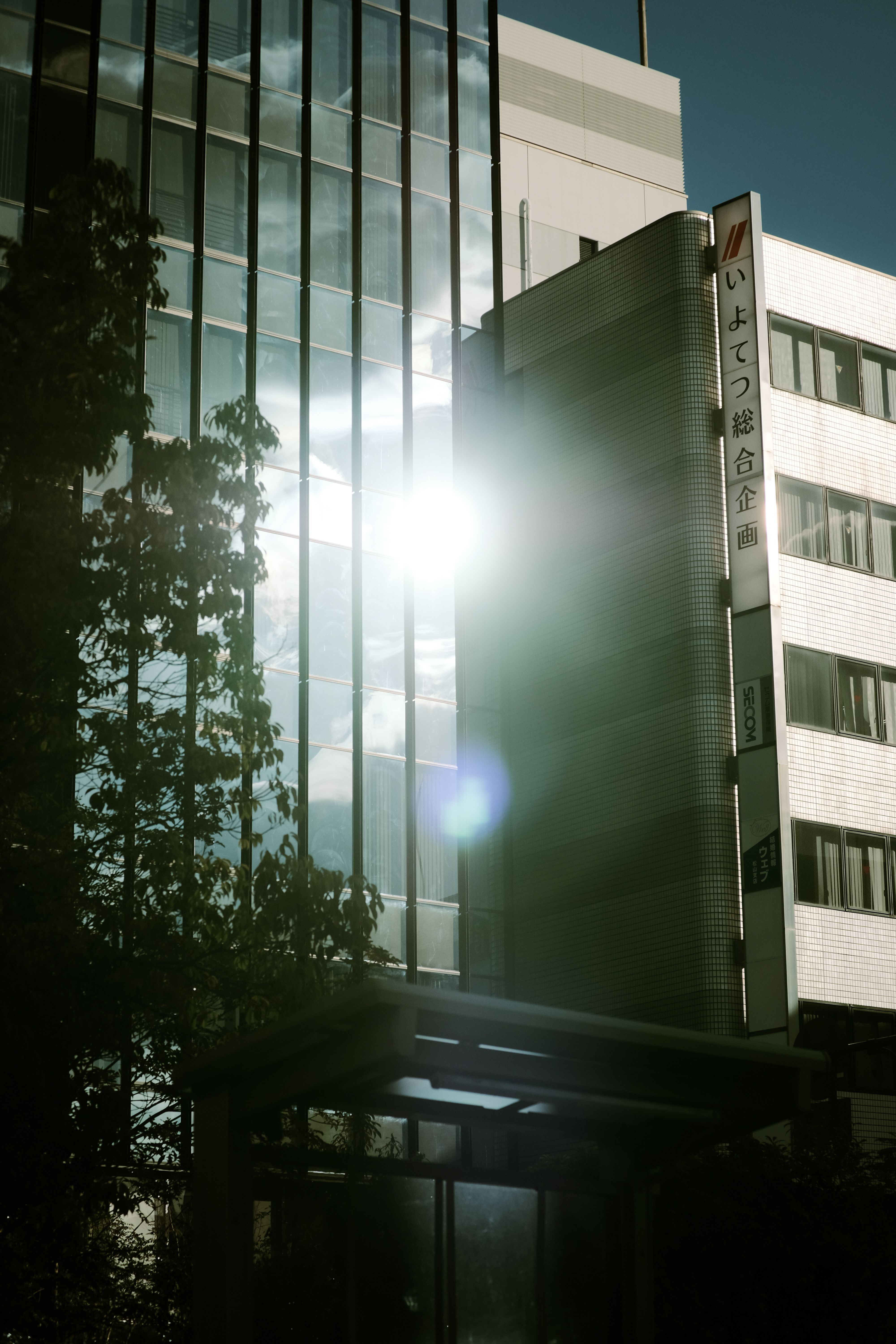 Sunlight Reflecting on Glass Wall of Office Building · Free Stock Photo