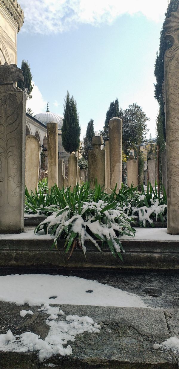 Istanbul Gardens Photos, Download The BEST Free Istanbul Gardens Stock ...