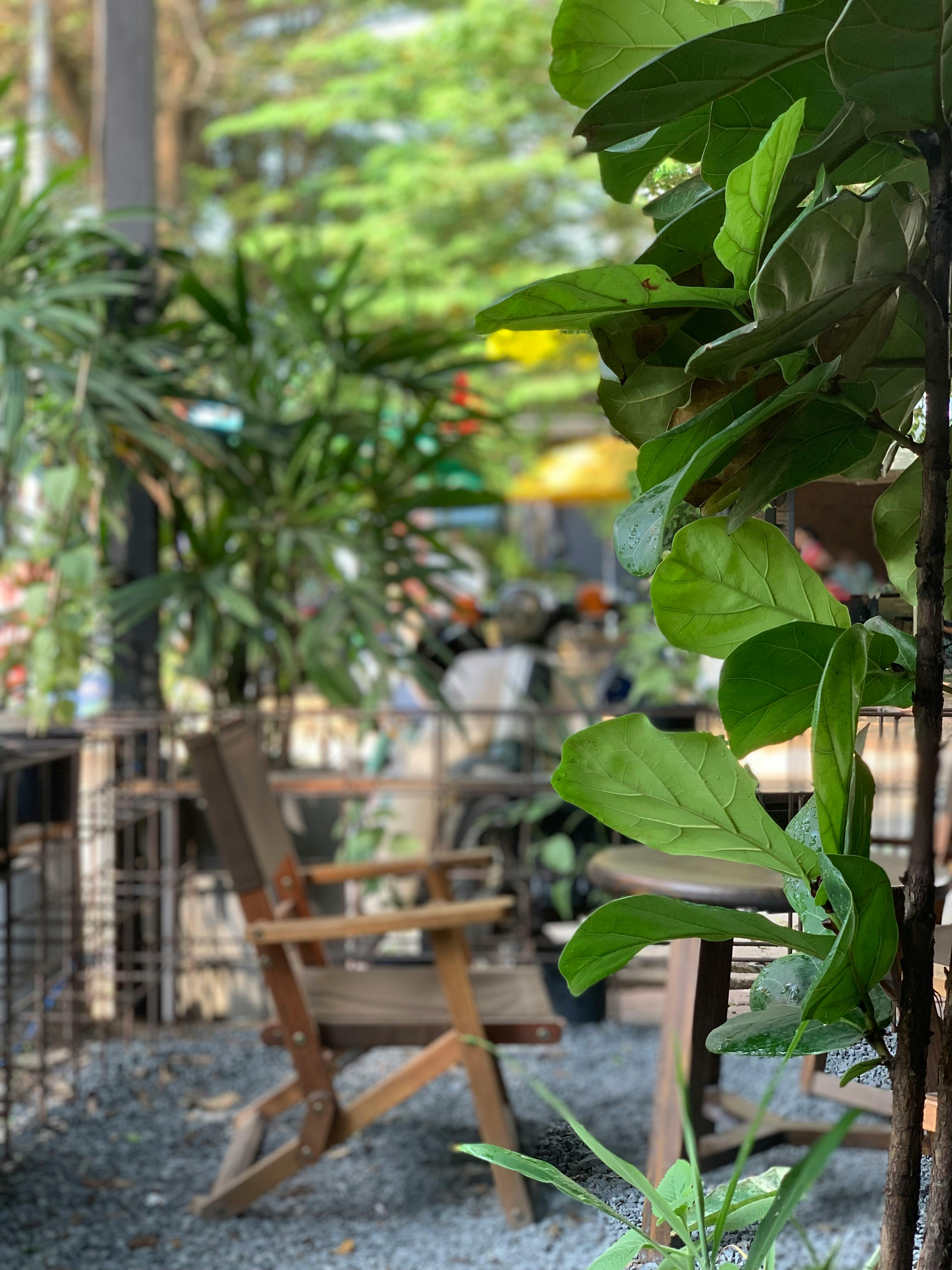 Dining Table In Ground Photos, Download The BEST Free Dining Table In ...