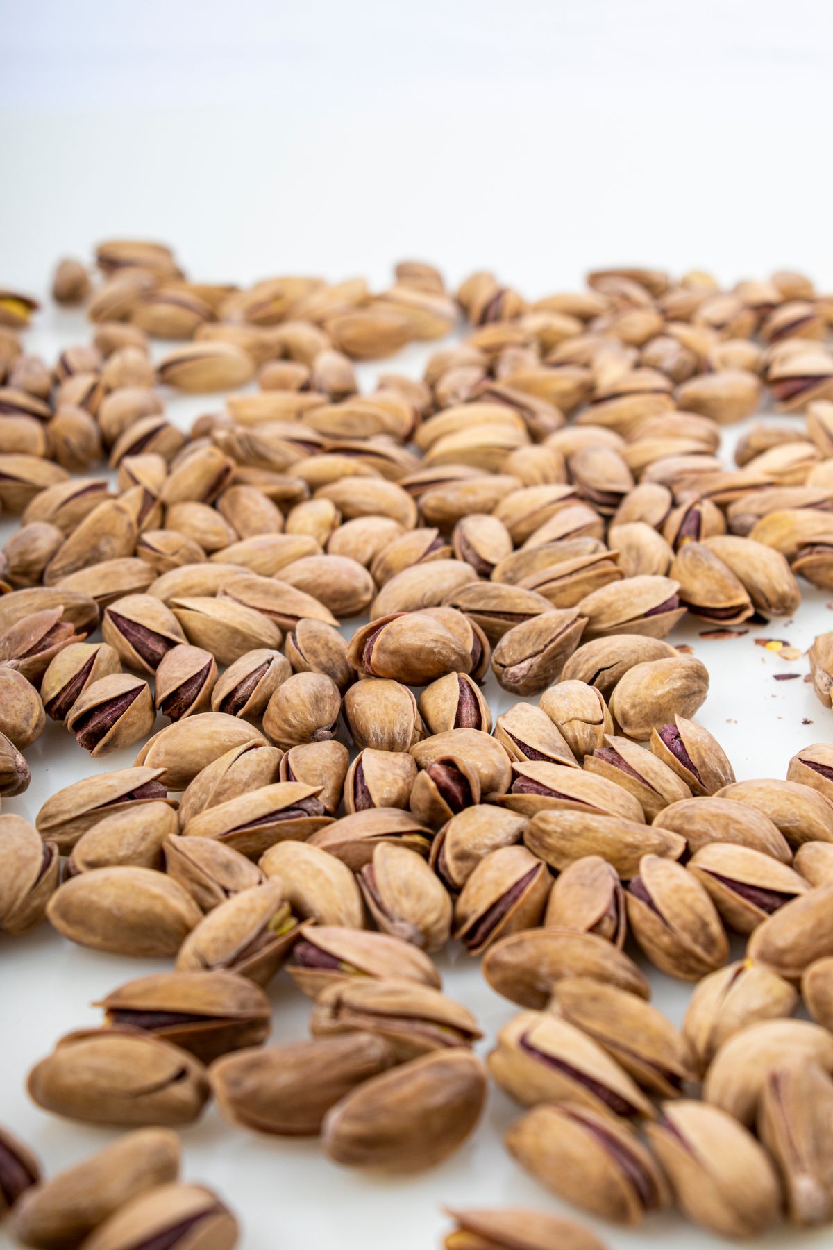Nuts Artwork Photos, Download The BEST Free Nuts Artwork Stock Photos ...