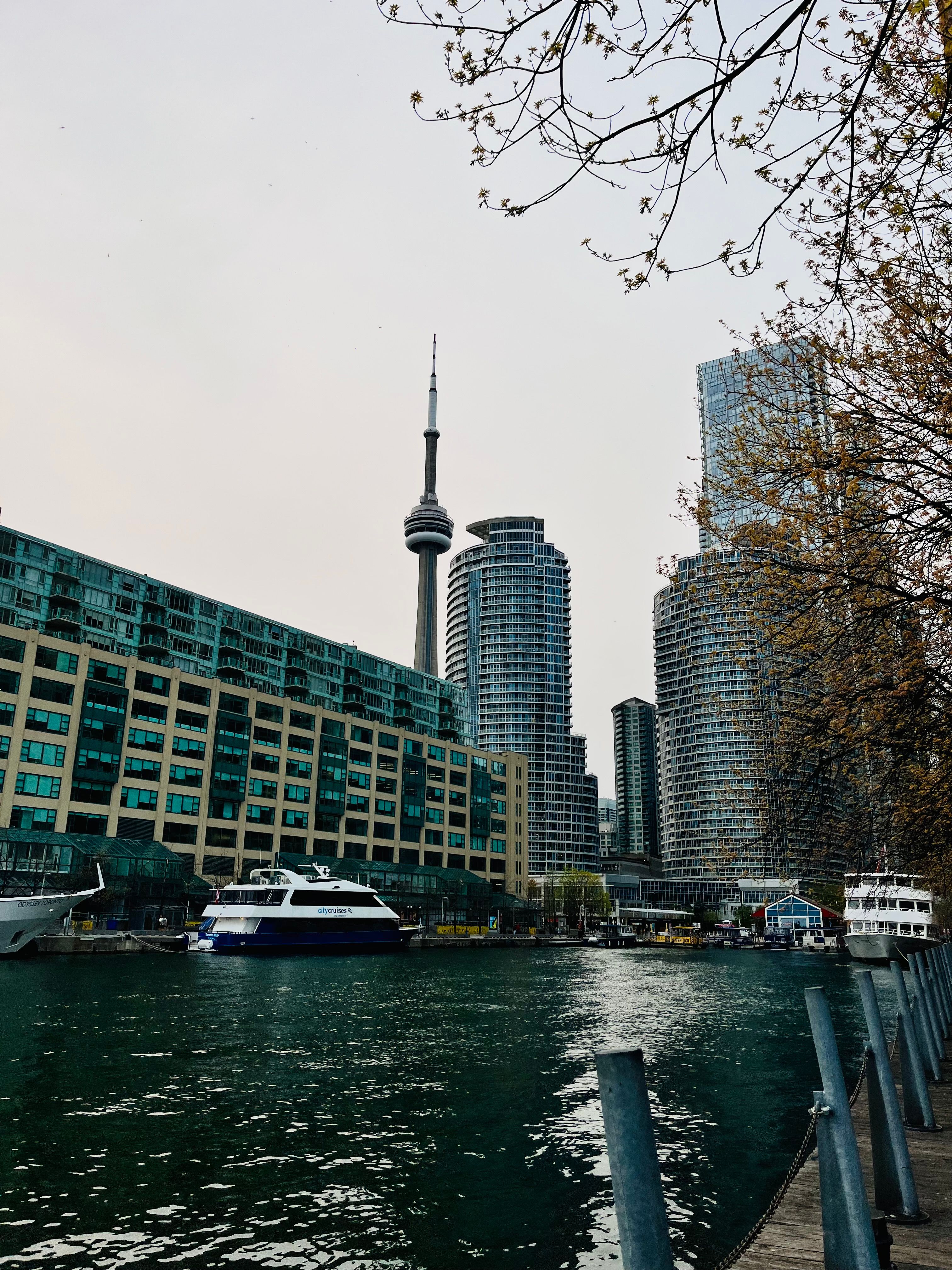 River in Toronto · Free Stock Photo